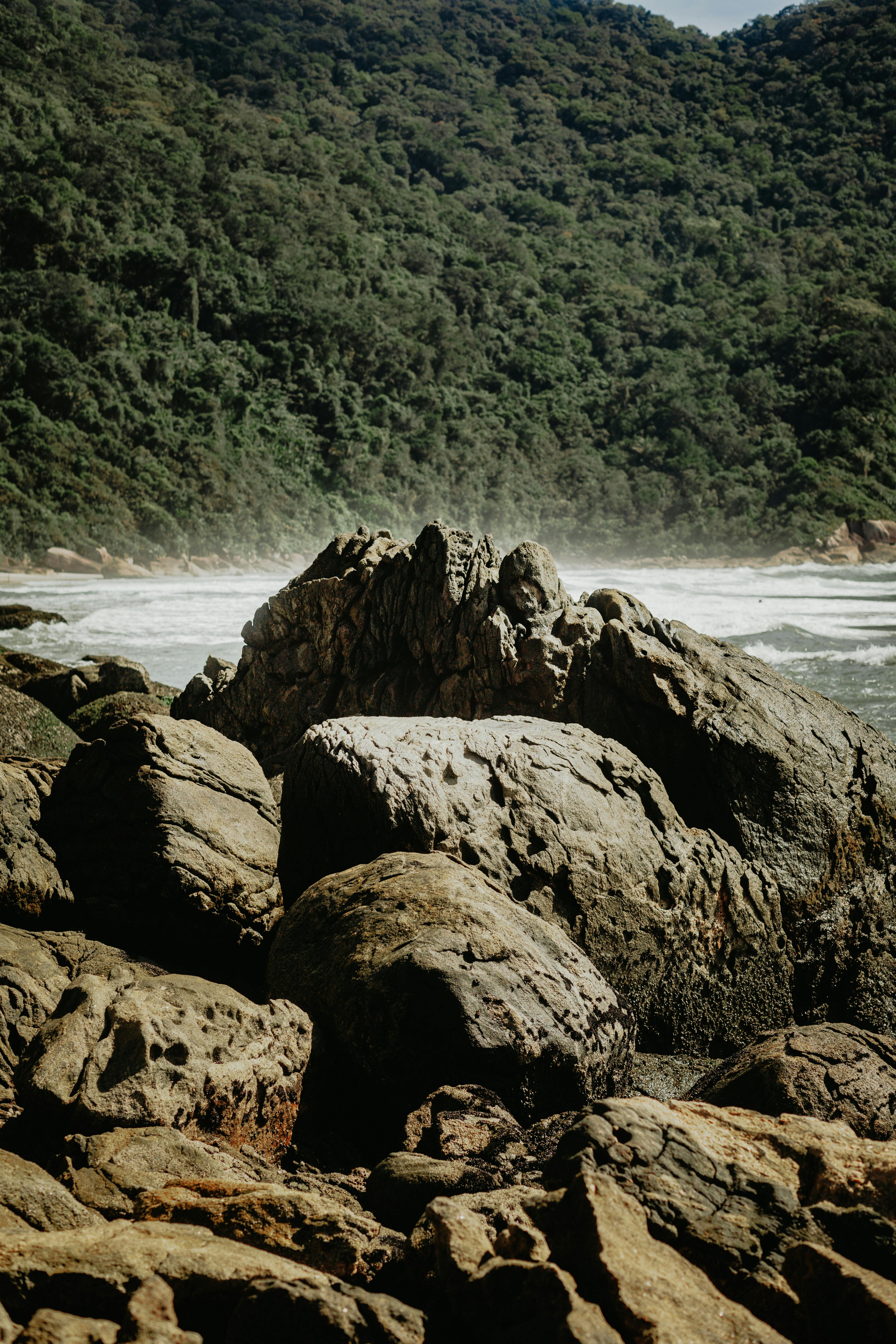 Tropical Expedition Photos, Download The BEST Free Tropical Expedition ...