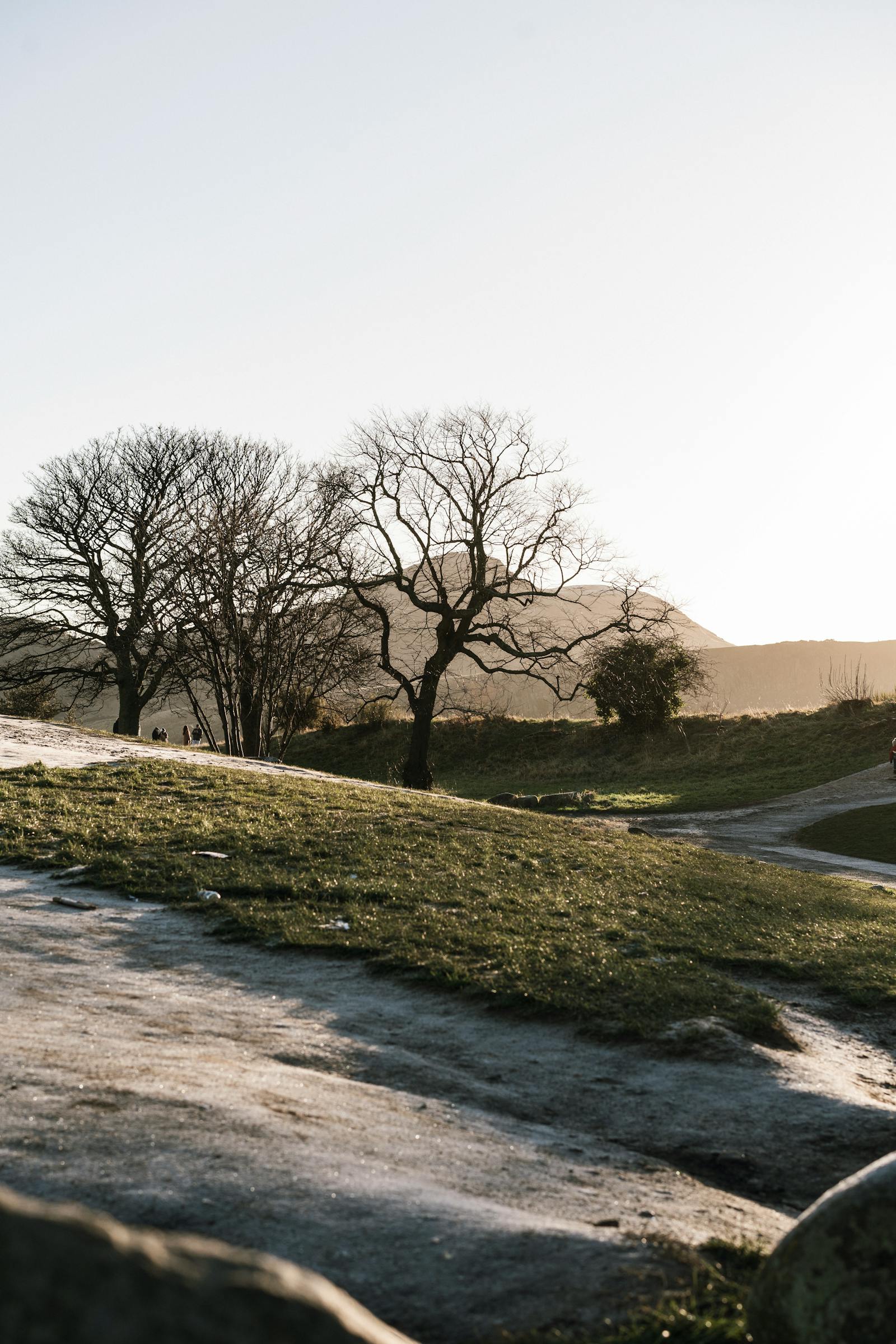 Calm Field With Sunrise Photos, Download The BEST Free Calm Field With ...