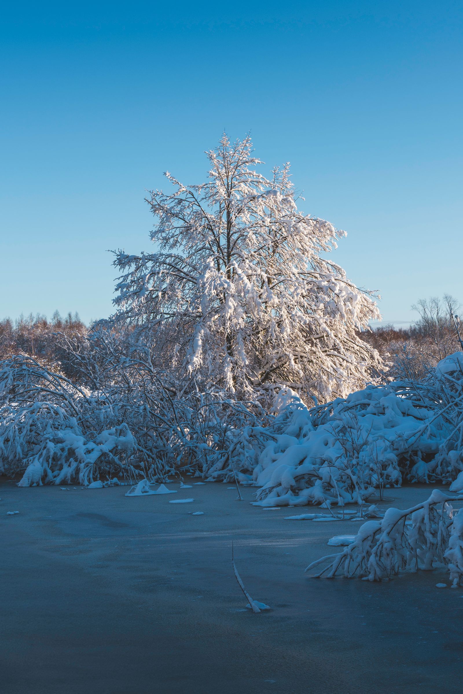 Winter+Tuesday+Images Photos, Download The BEST Free Winter+Tuesday ...