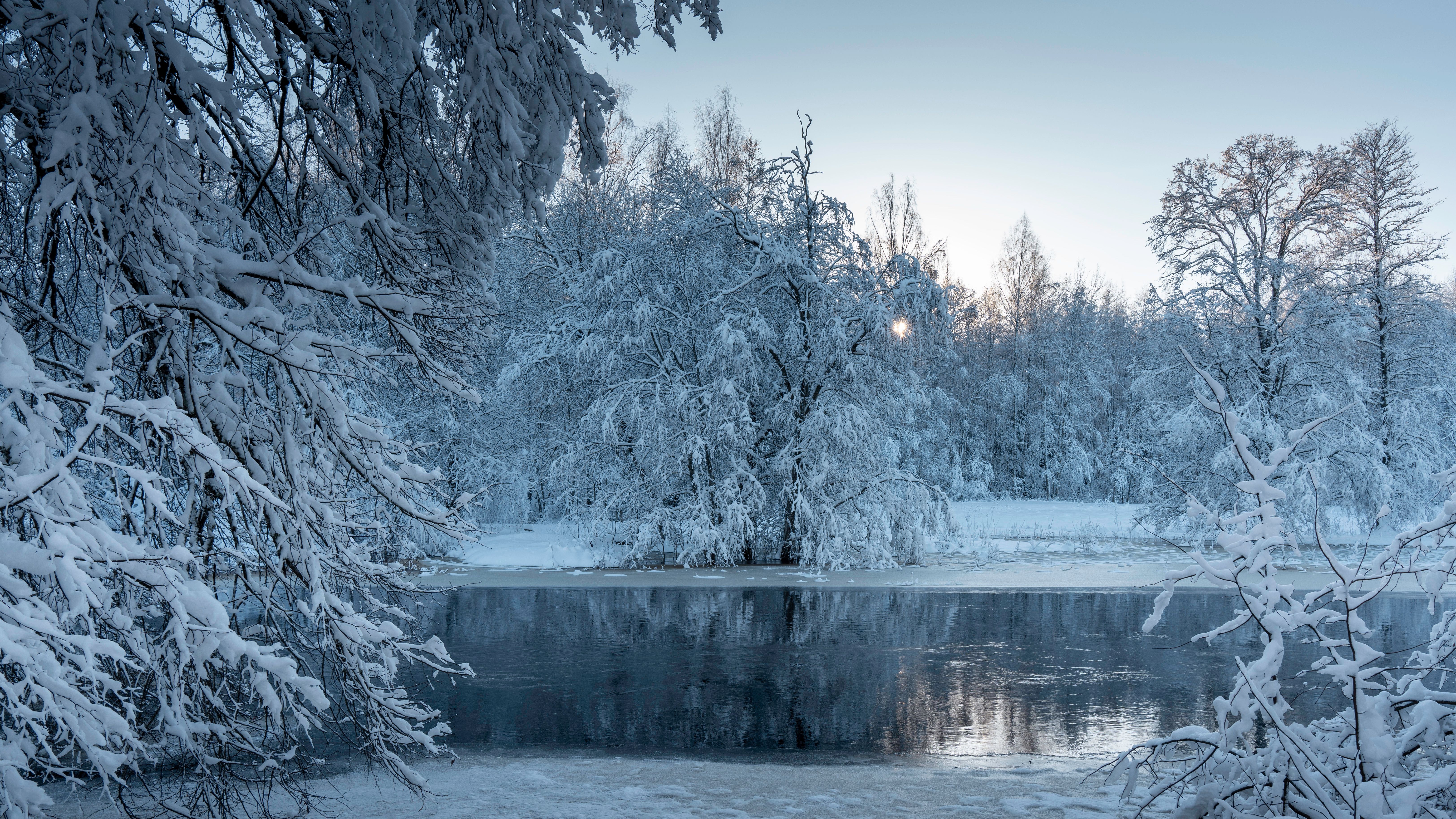 Bosque Sereno Cubierto De Nieve Junto A Un Lago Congelado · Foto de ...