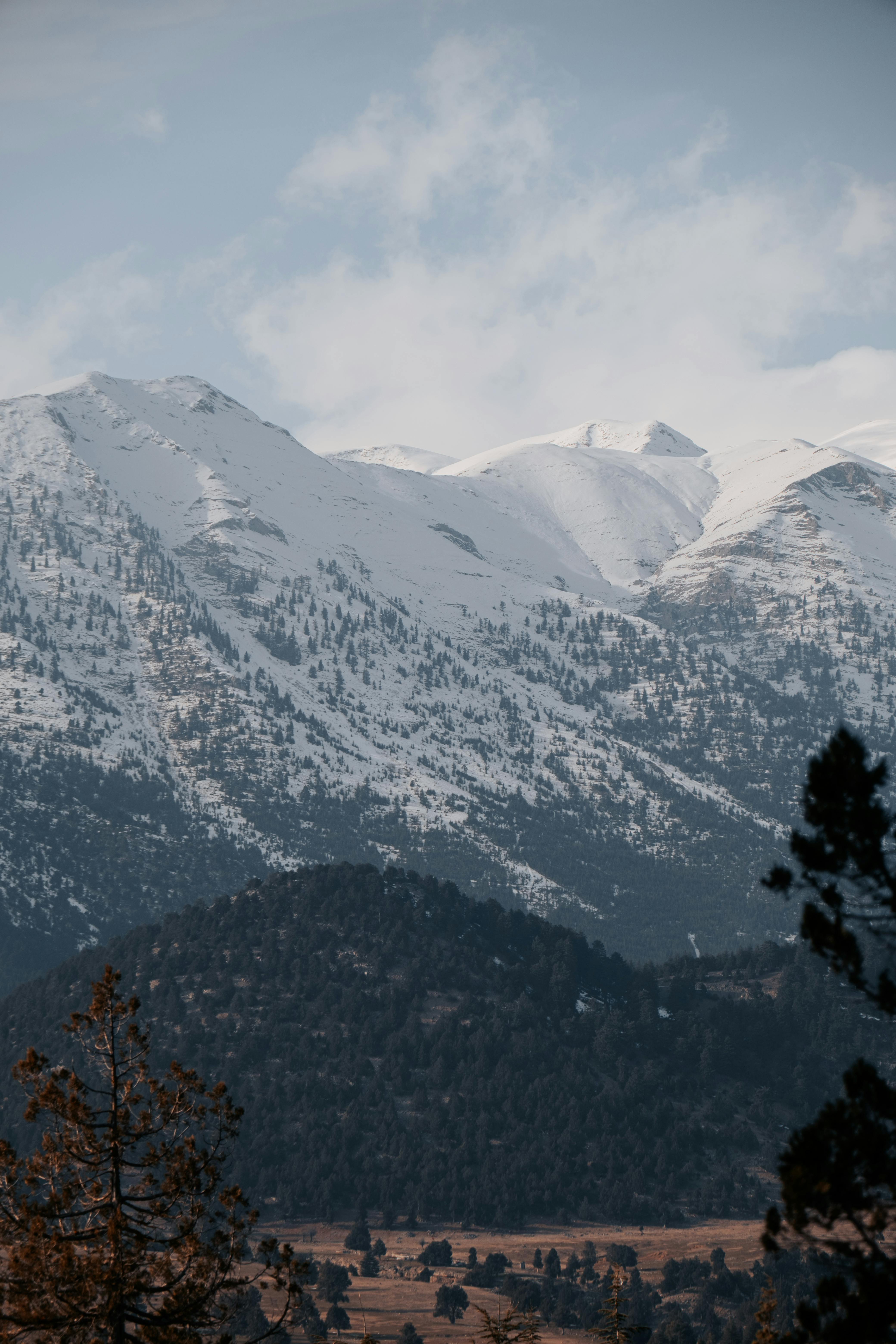 Cukurova Lanka Photos, Download The BEST Free Cukurova Lanka Stock ...