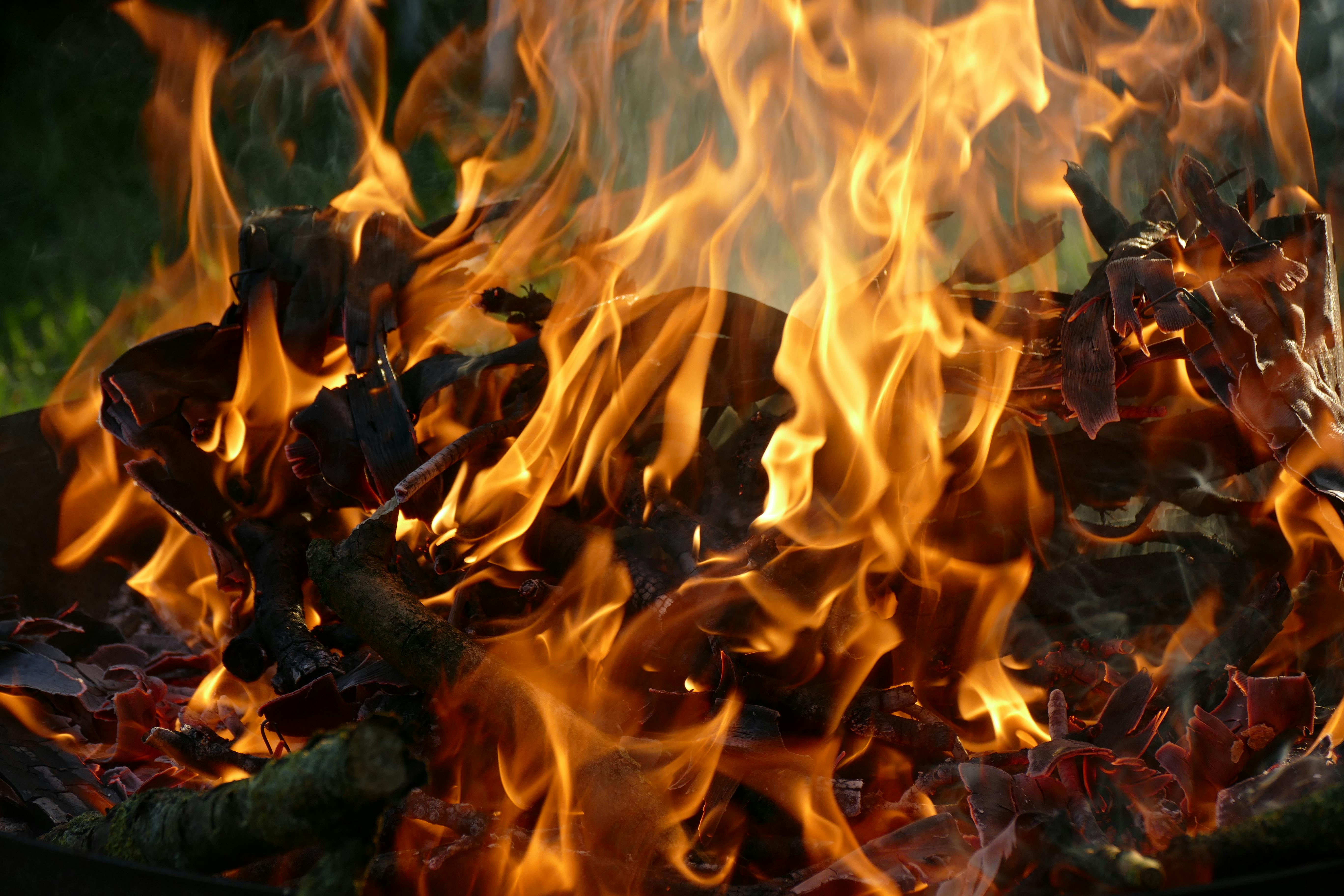Chamas Vibrantes Engolfando Madeira Em Chamas · Foto profissional gratuita