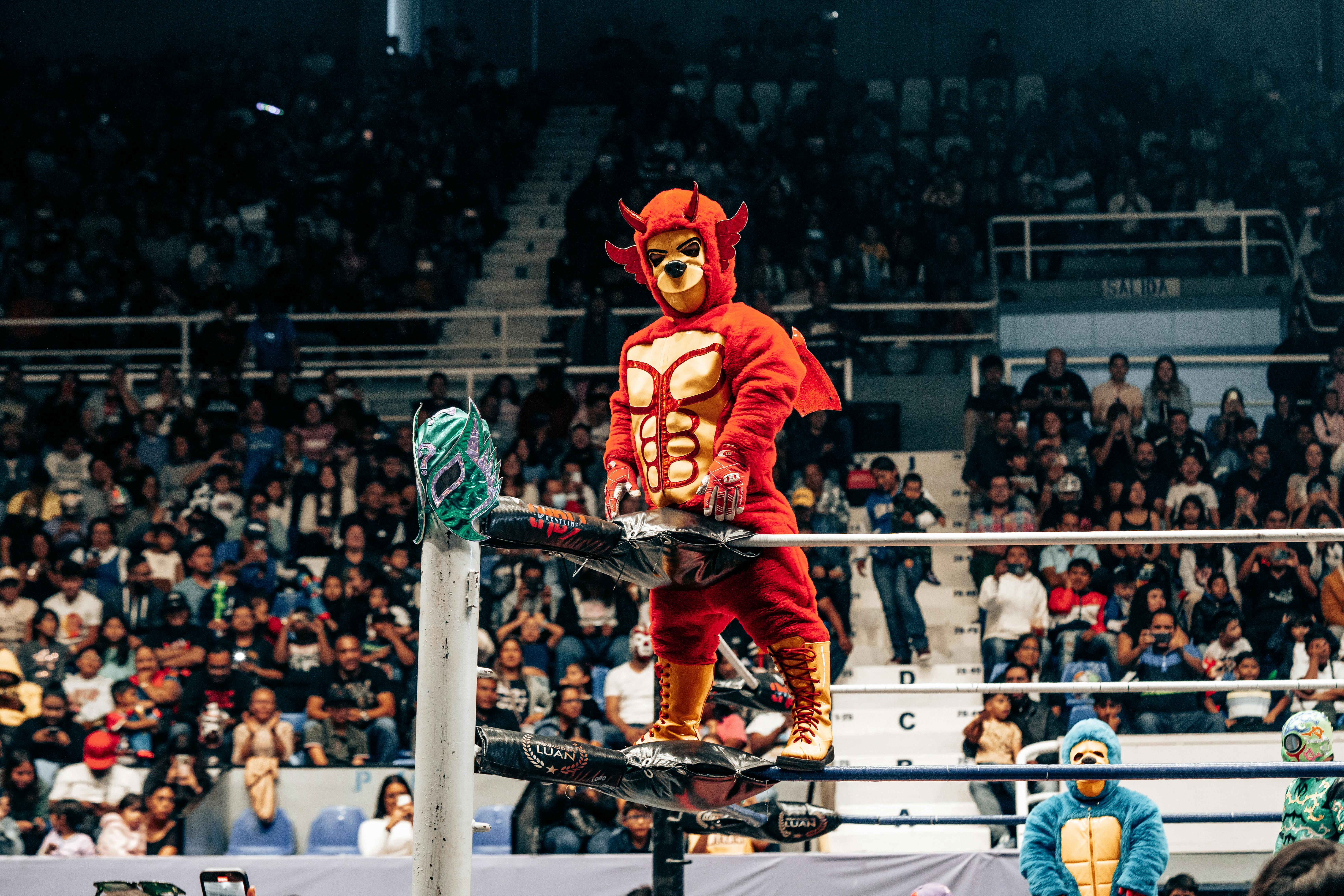 Colorful Luchador at Mexican Wrestling Match · Free Stock Photo