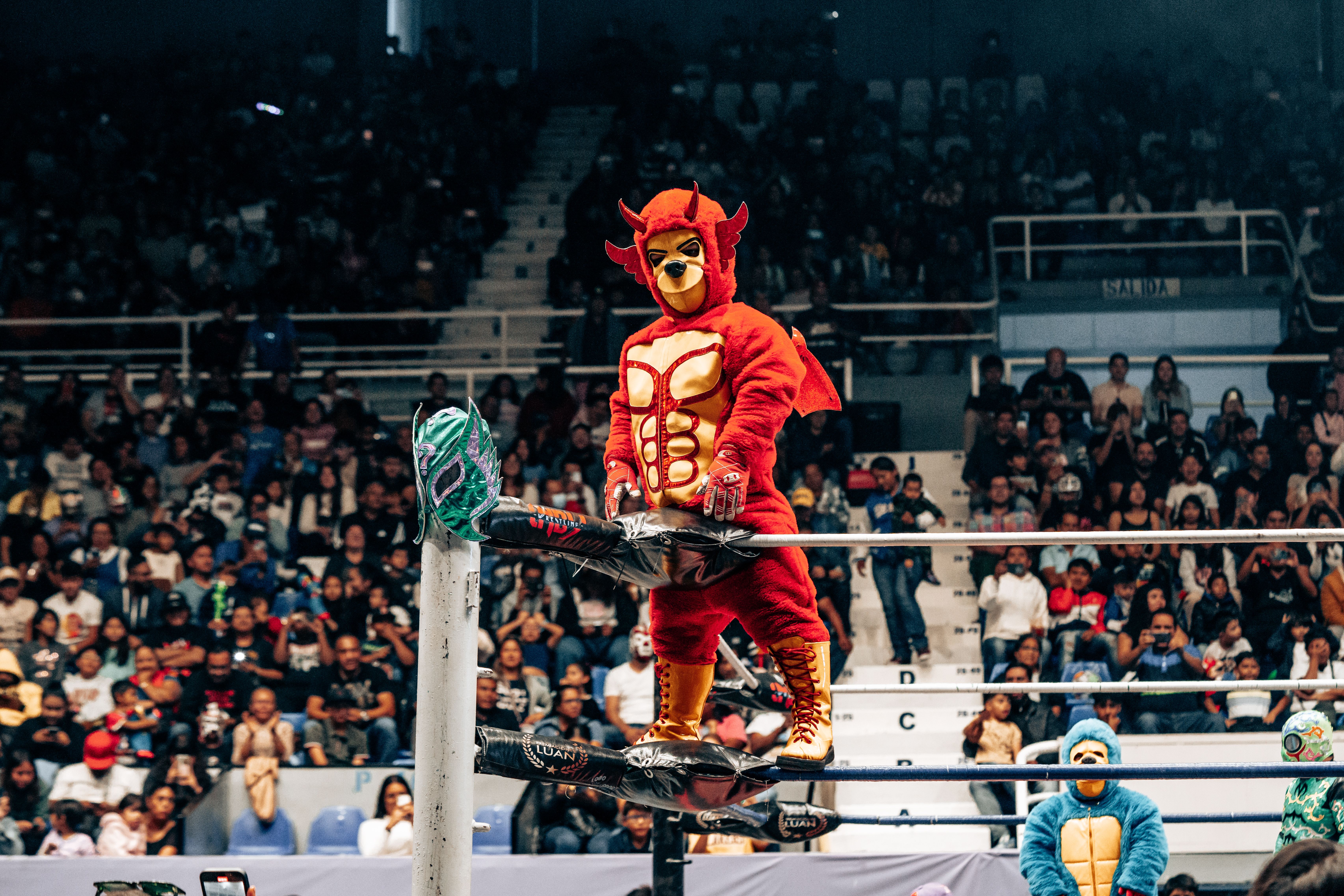 Luchador Colorido En Combate De Lucha Libre Mexicana · Foto de stock ...