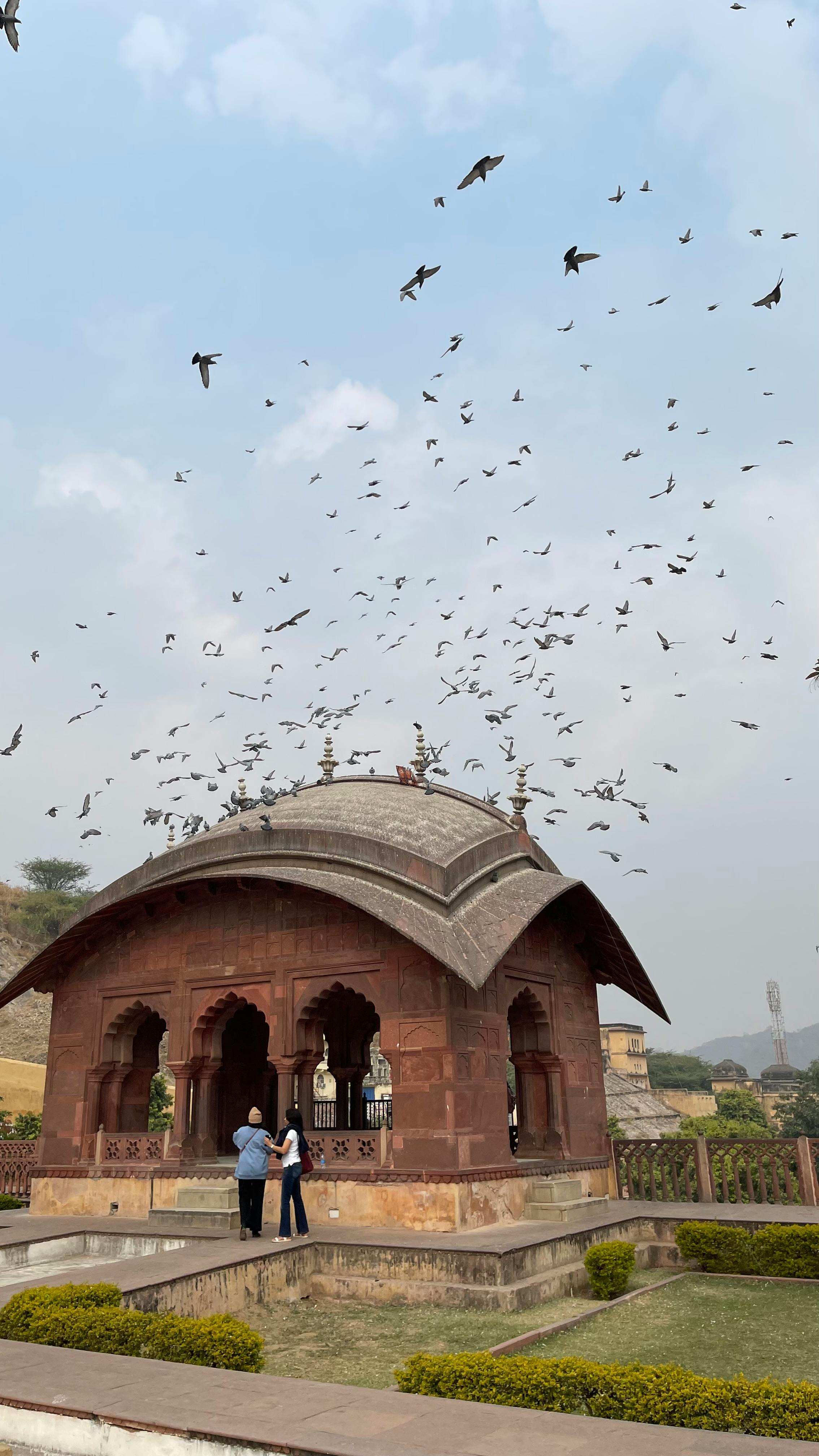 Historic Pavilion with Birds in Flight · Free Stock Photo