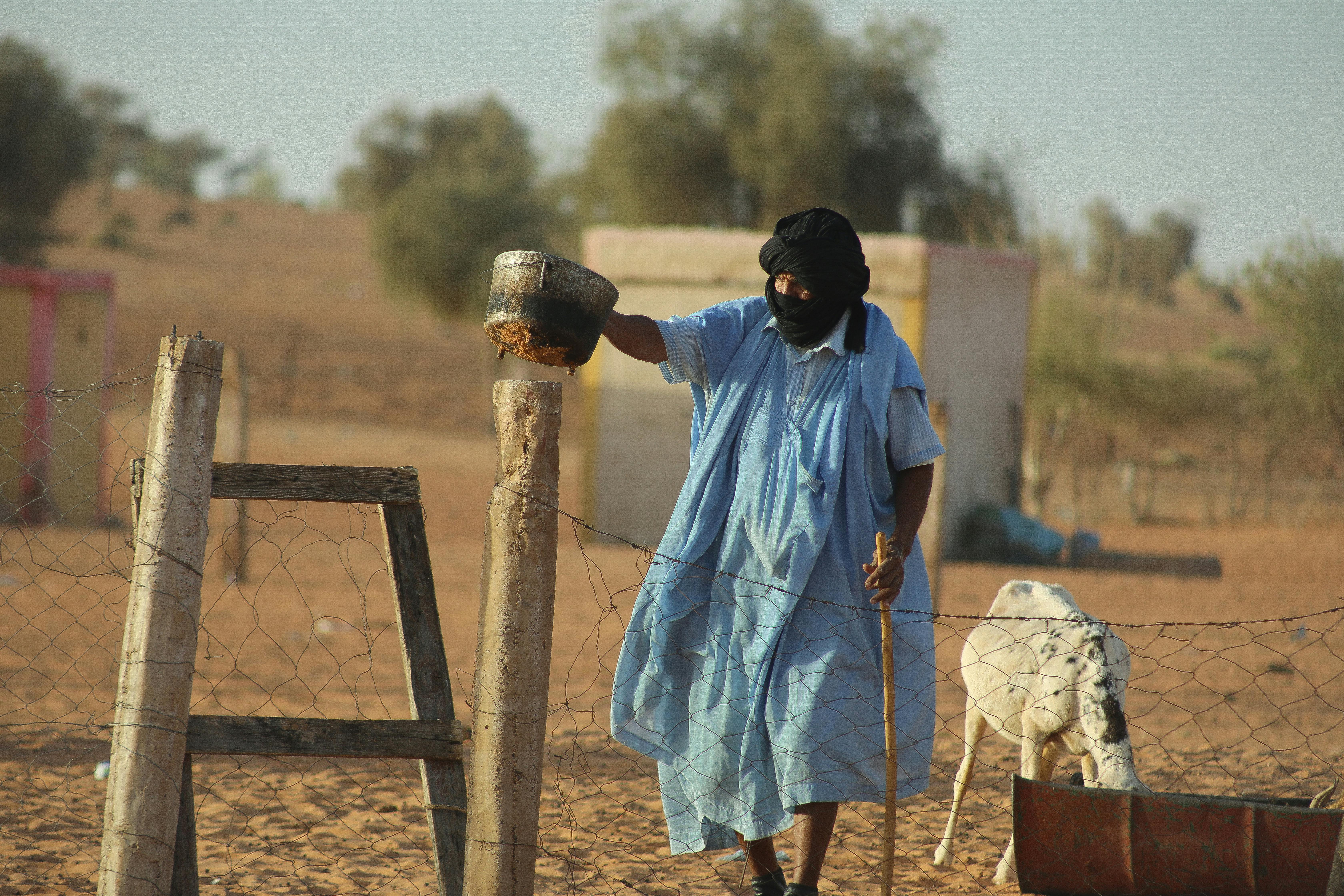 Shepherd Tending Sheep in Mauritania Desert · Free Stock Photo
