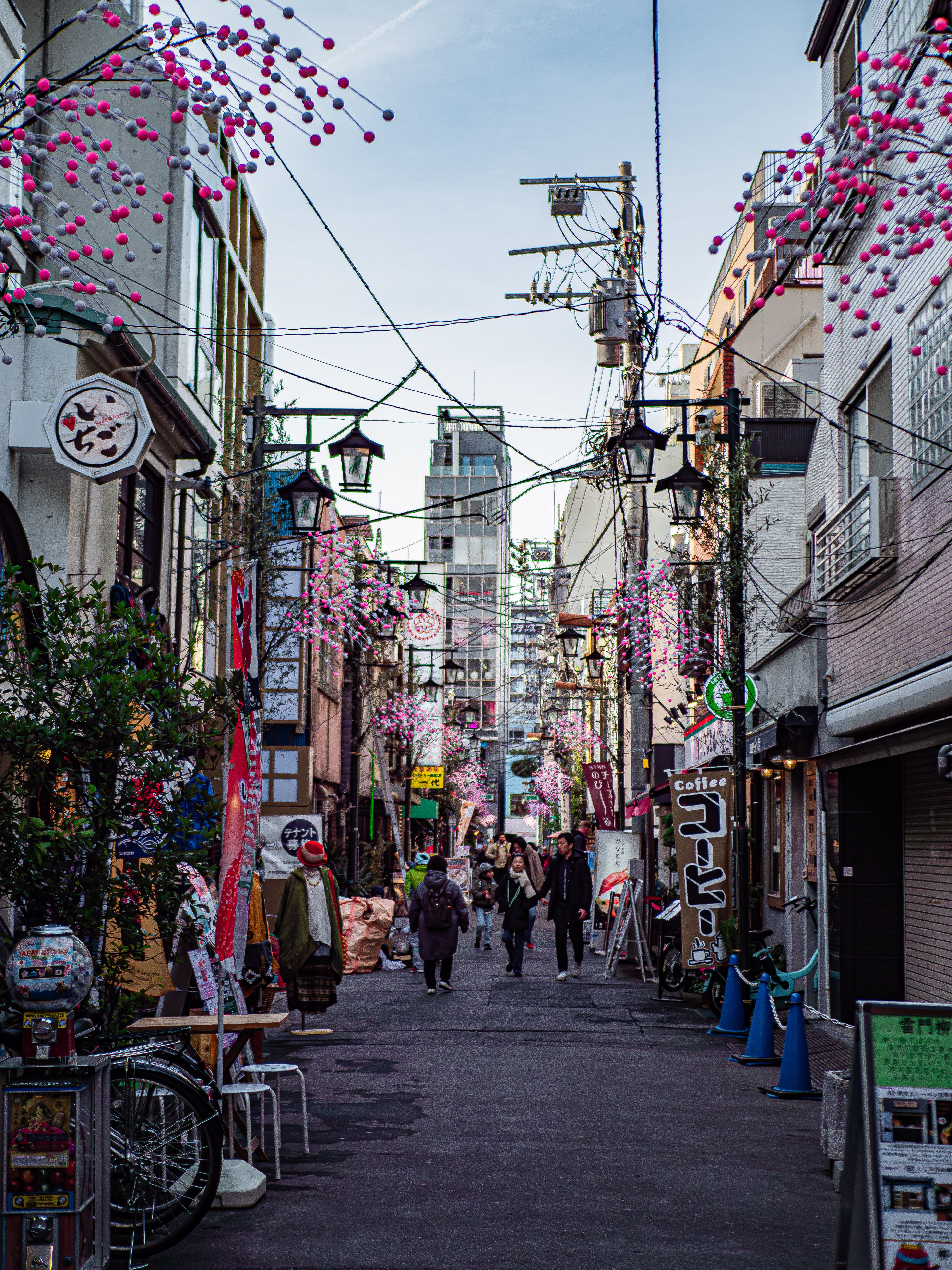 Charming Tokyo Street with Cherry Blossoms · Free Stock Photo