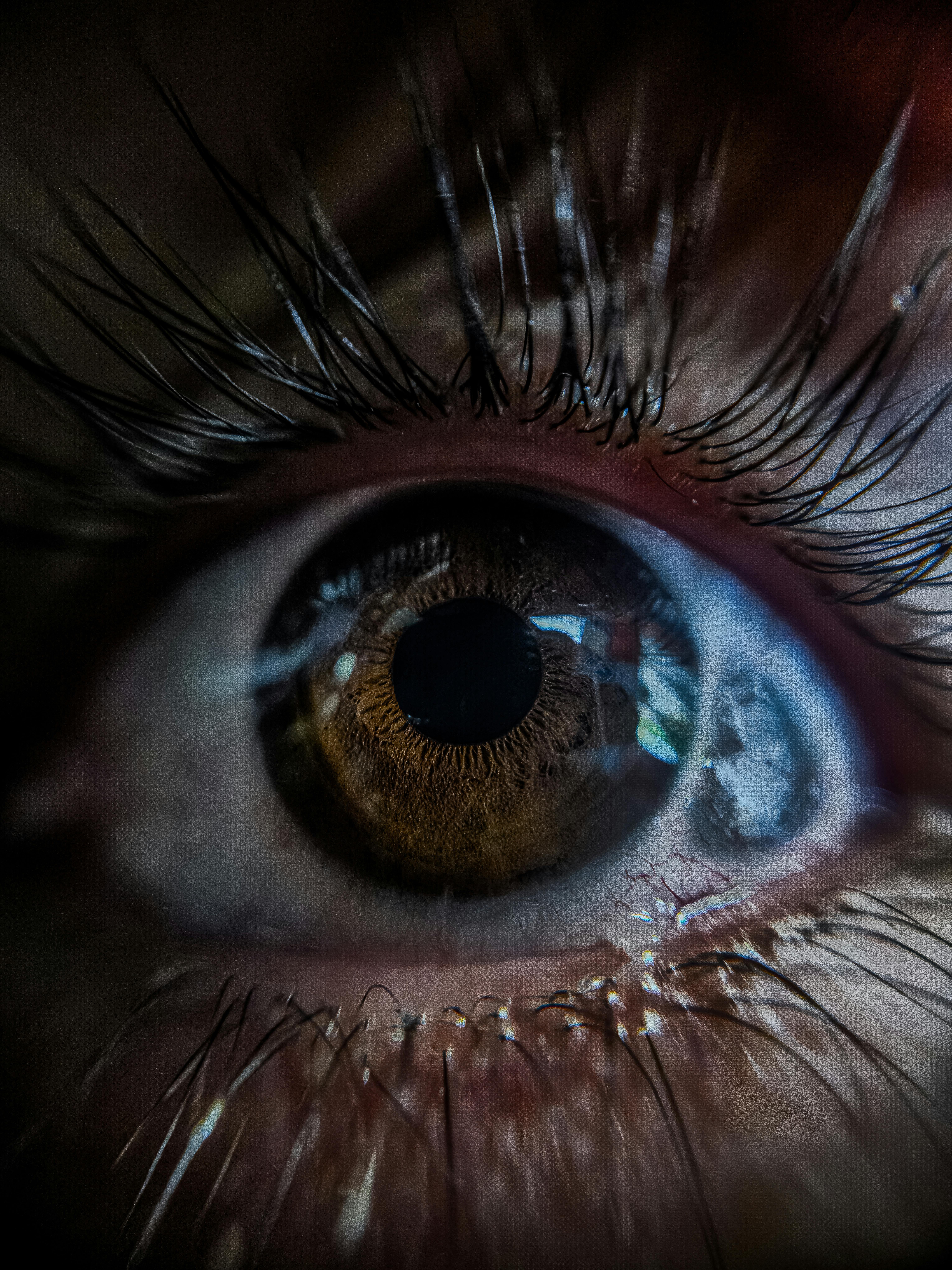 Um Close Up De Um Olho · Foto profissional gratuita