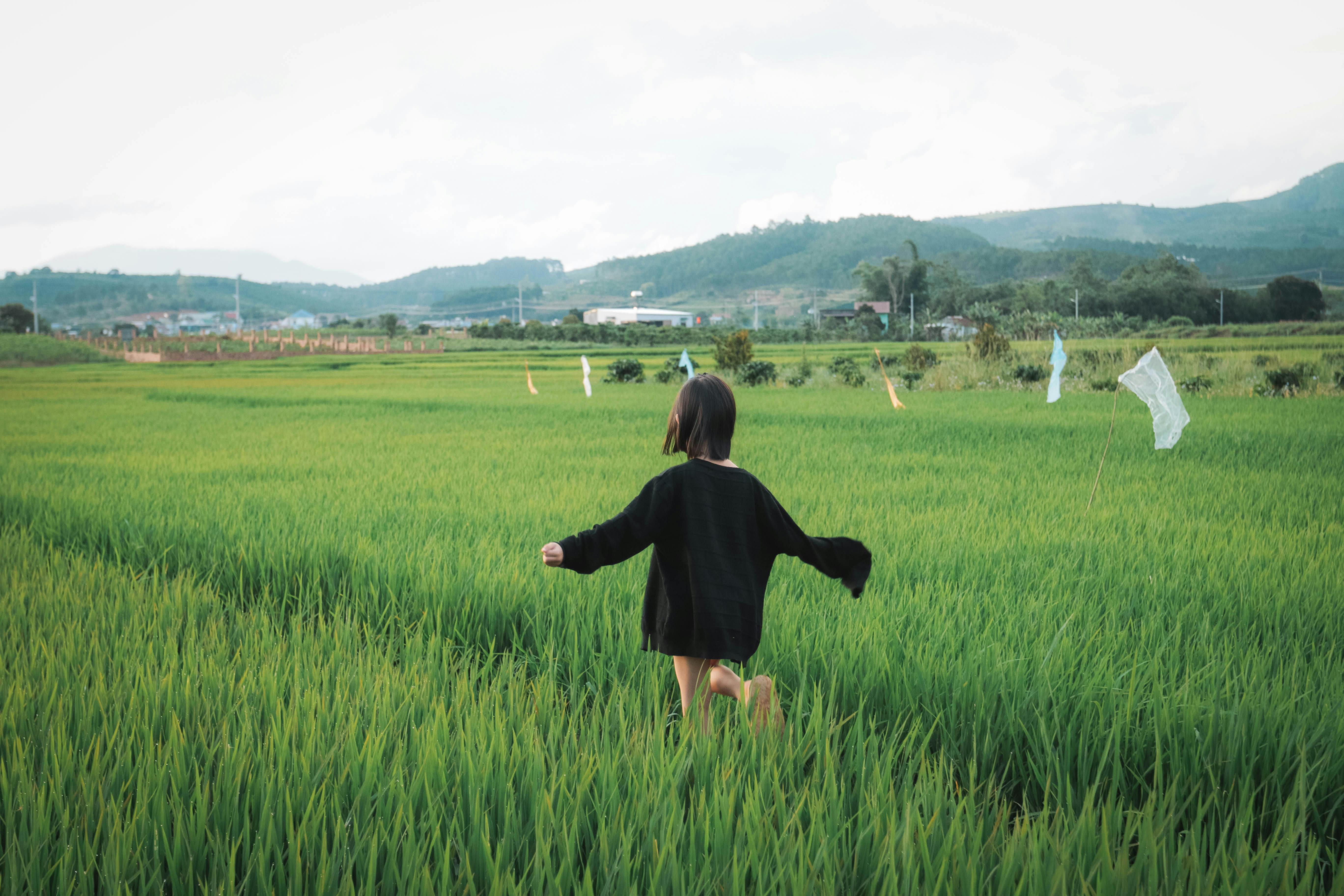 Child running through vibrant green rice field outdoors · Free Stock Photo