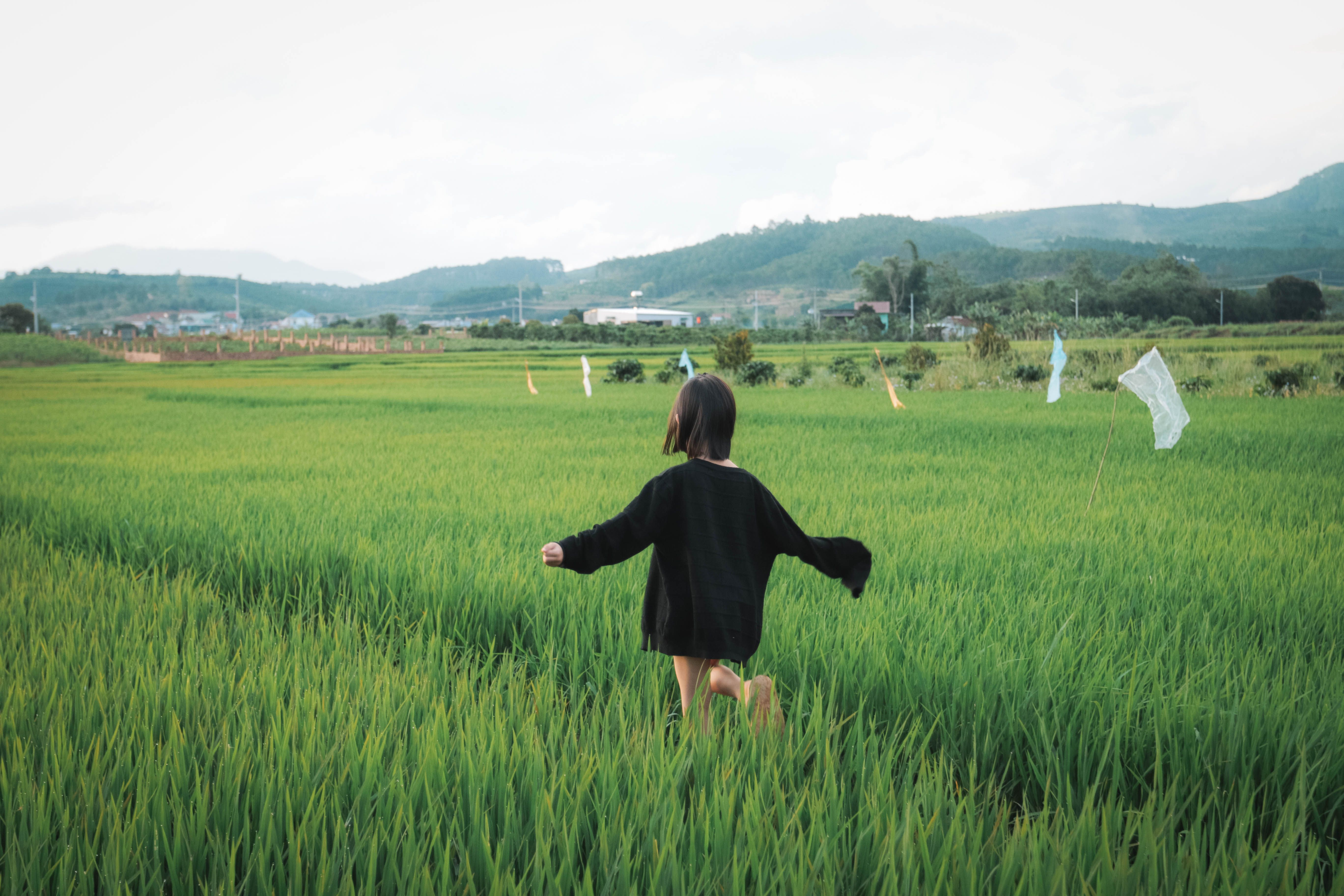 Child running through vibrant green rice field outdoors · Free Stock Photo
