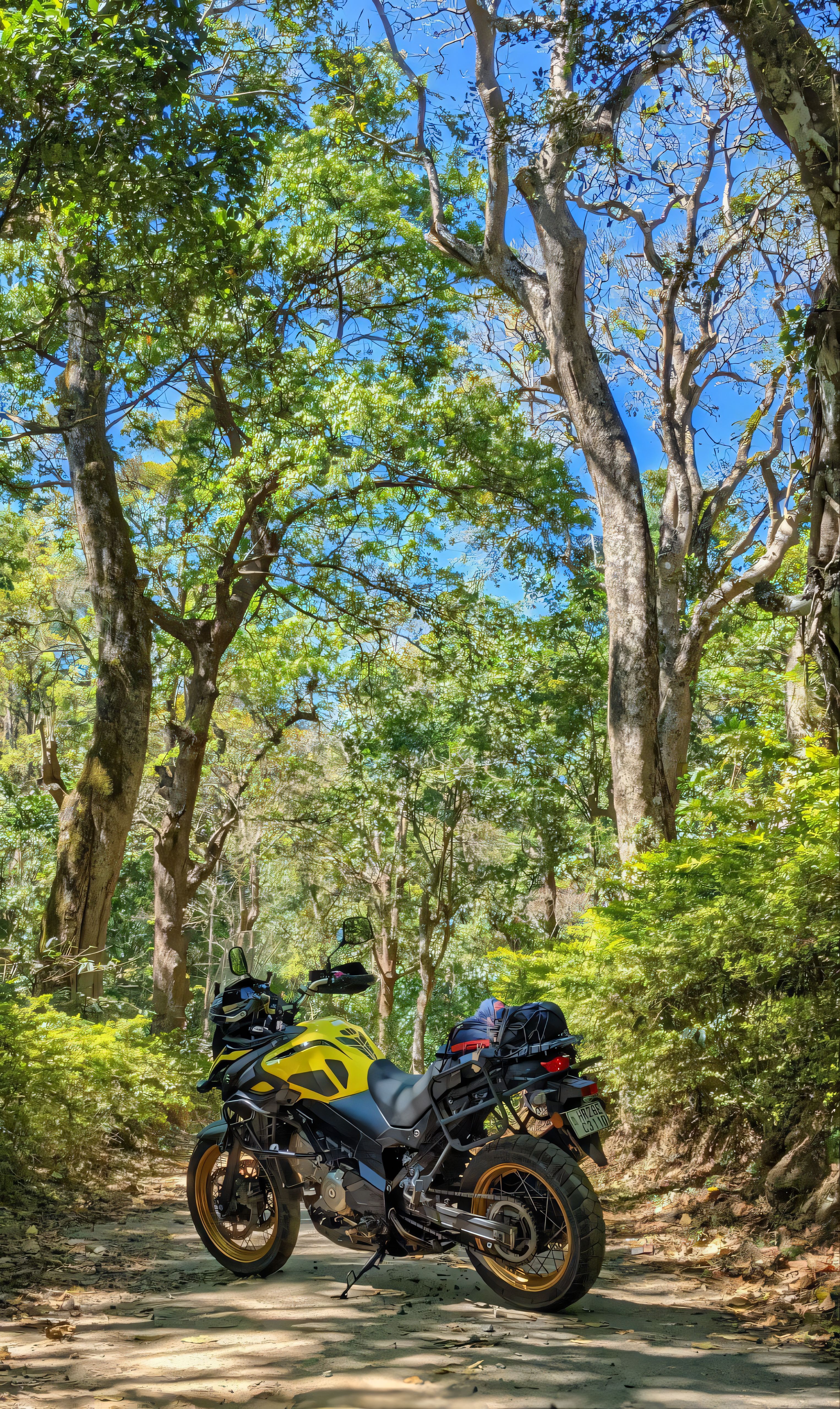 Adventure Motorcycle in Lush Forest Path · Free Stock Photo