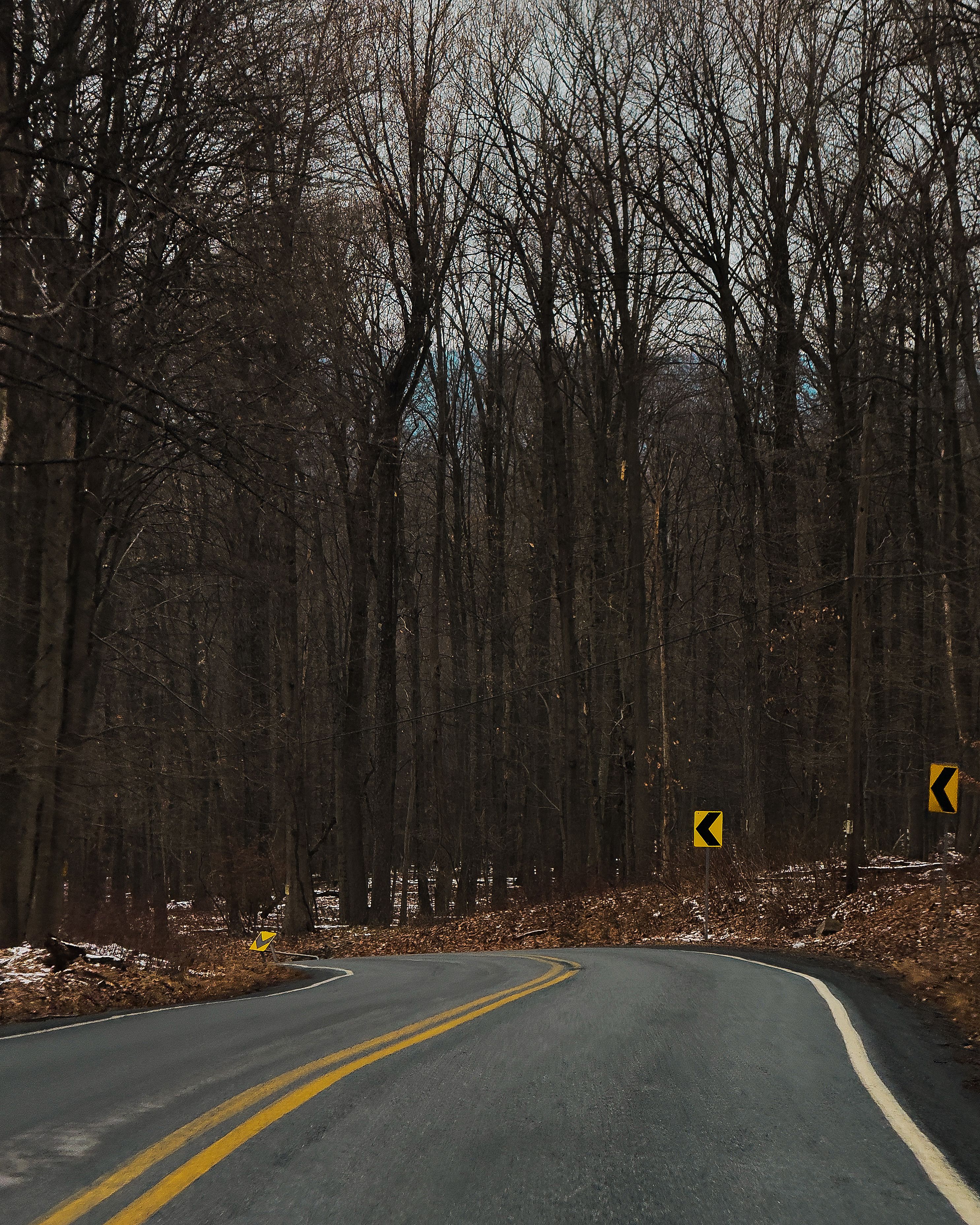 Rough roadway near mounts with trees in daylight · Free Stock Photo