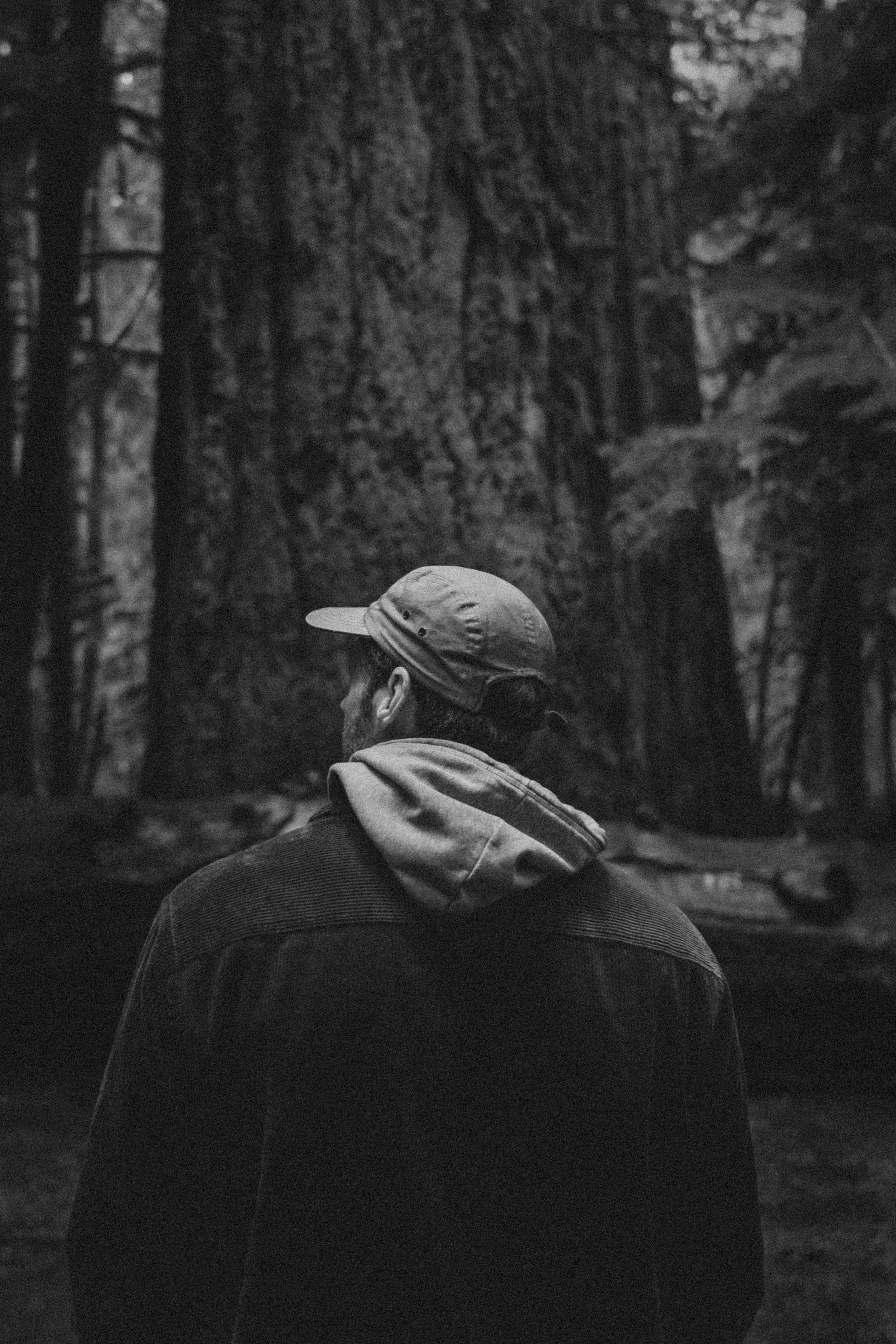 Man in Forest with Towering Tree in Canada · Free Stock Photo