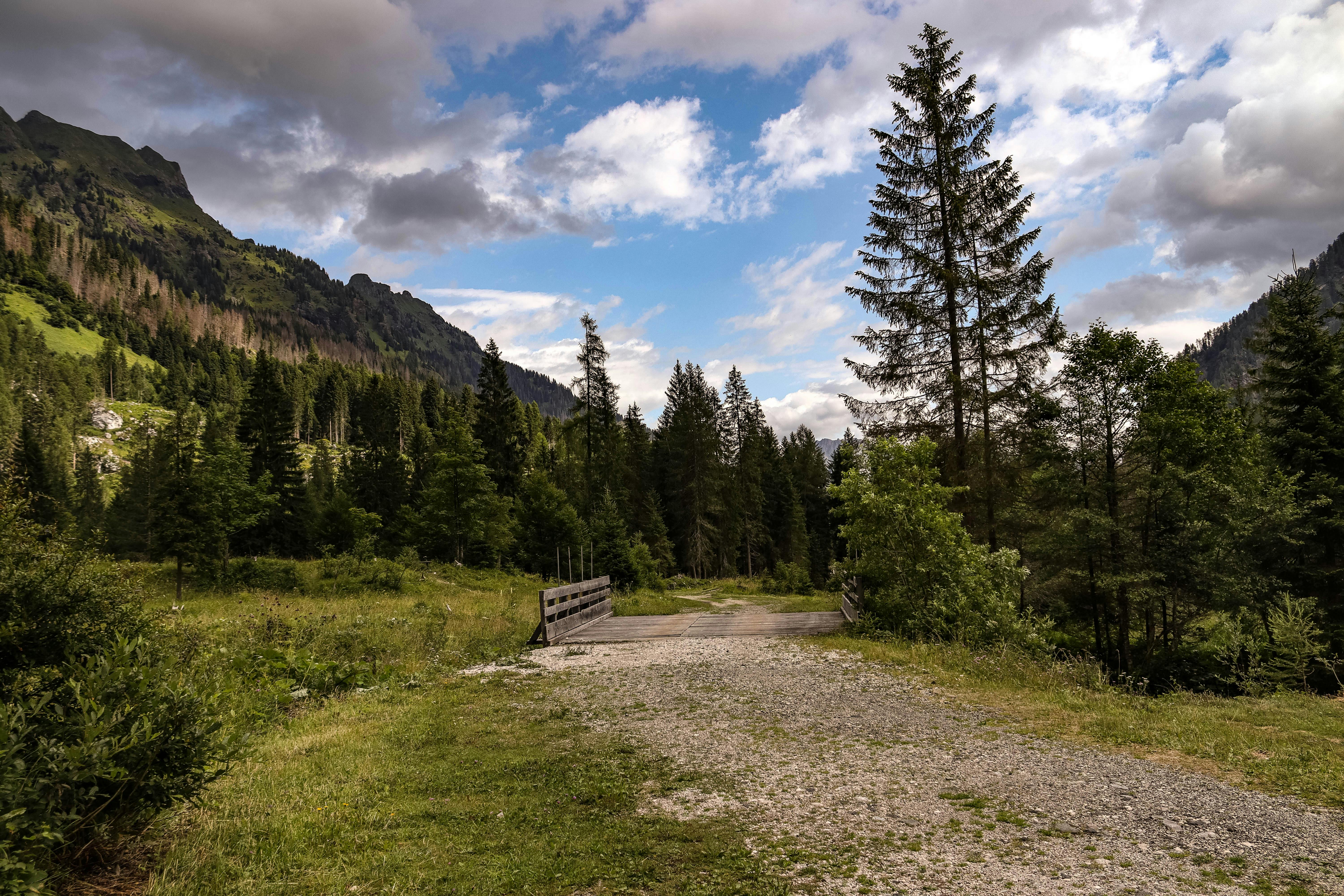 Scenic Mountain Landscape with Forest Path · Free Stock Photo