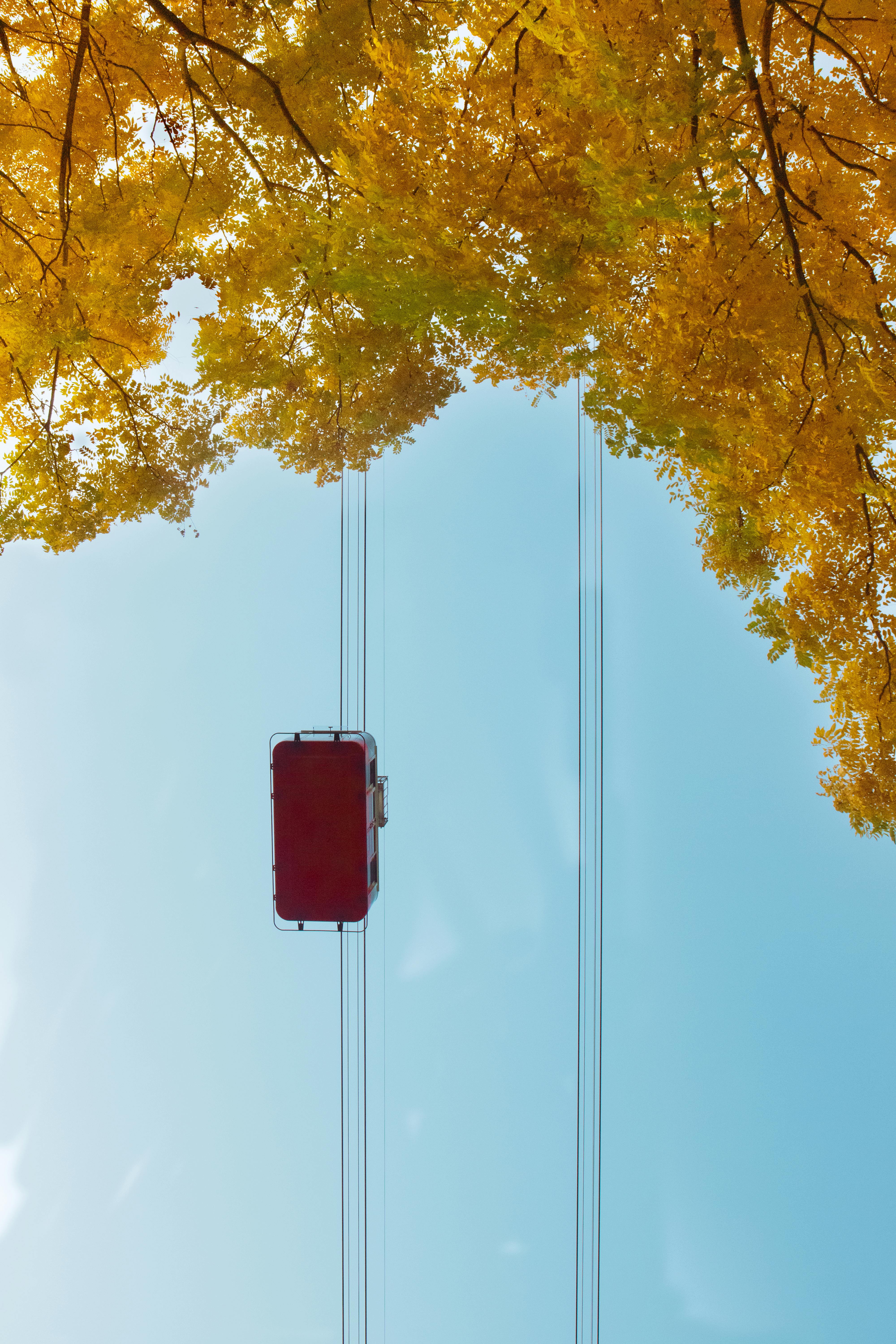 mg shawn - Photography