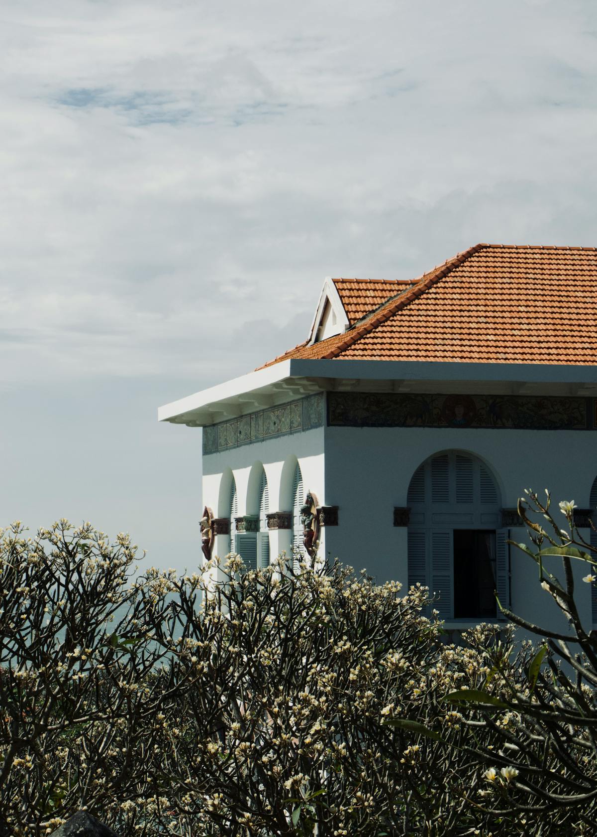 Popular+Now+Dinon+On+Cycling+Cocoon+Dixoni+Sick+Sucks+Chuckb+Dinon ...