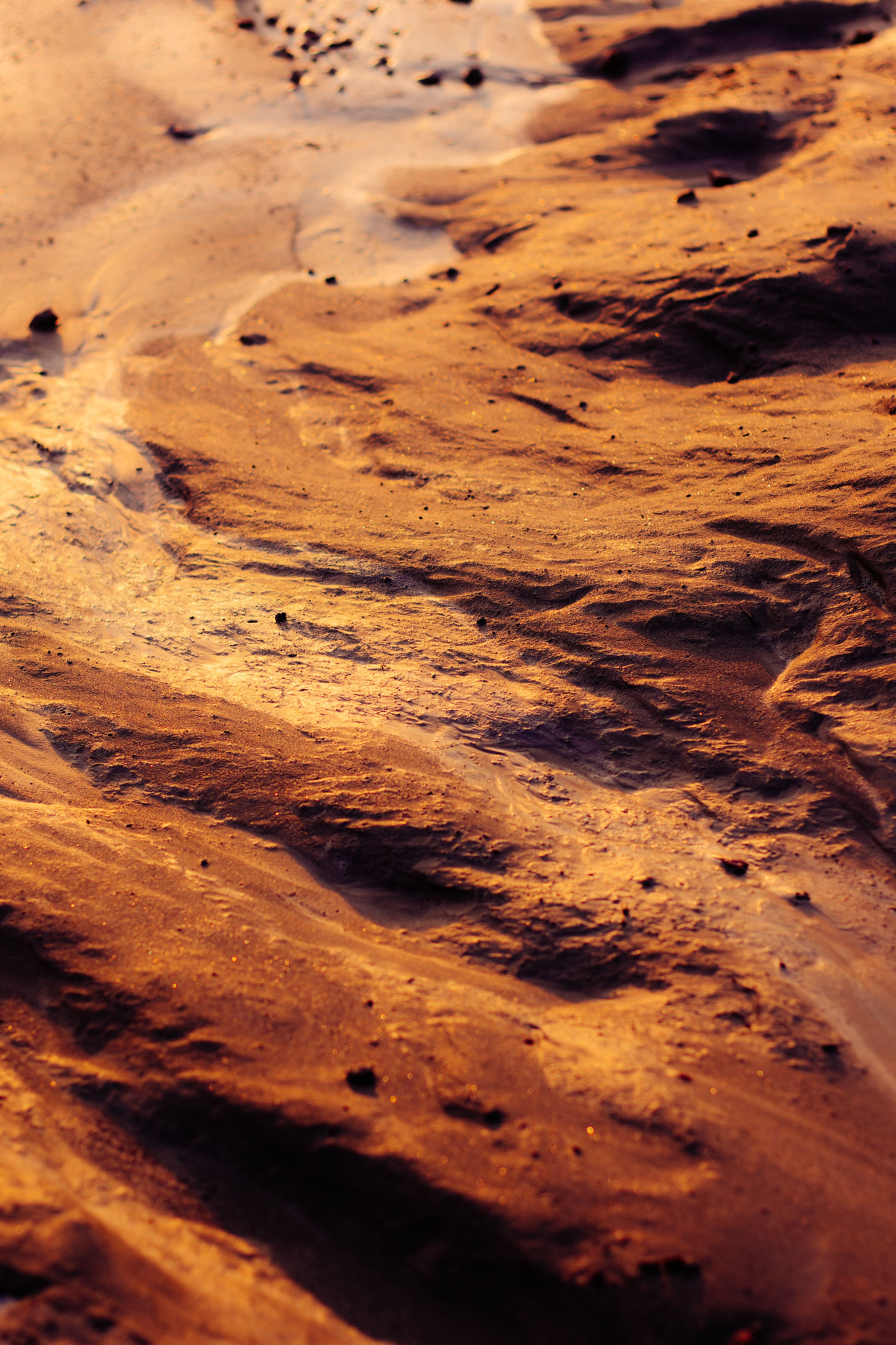 Golden Hour Waves on Sandy Beach · Free Stock Photo