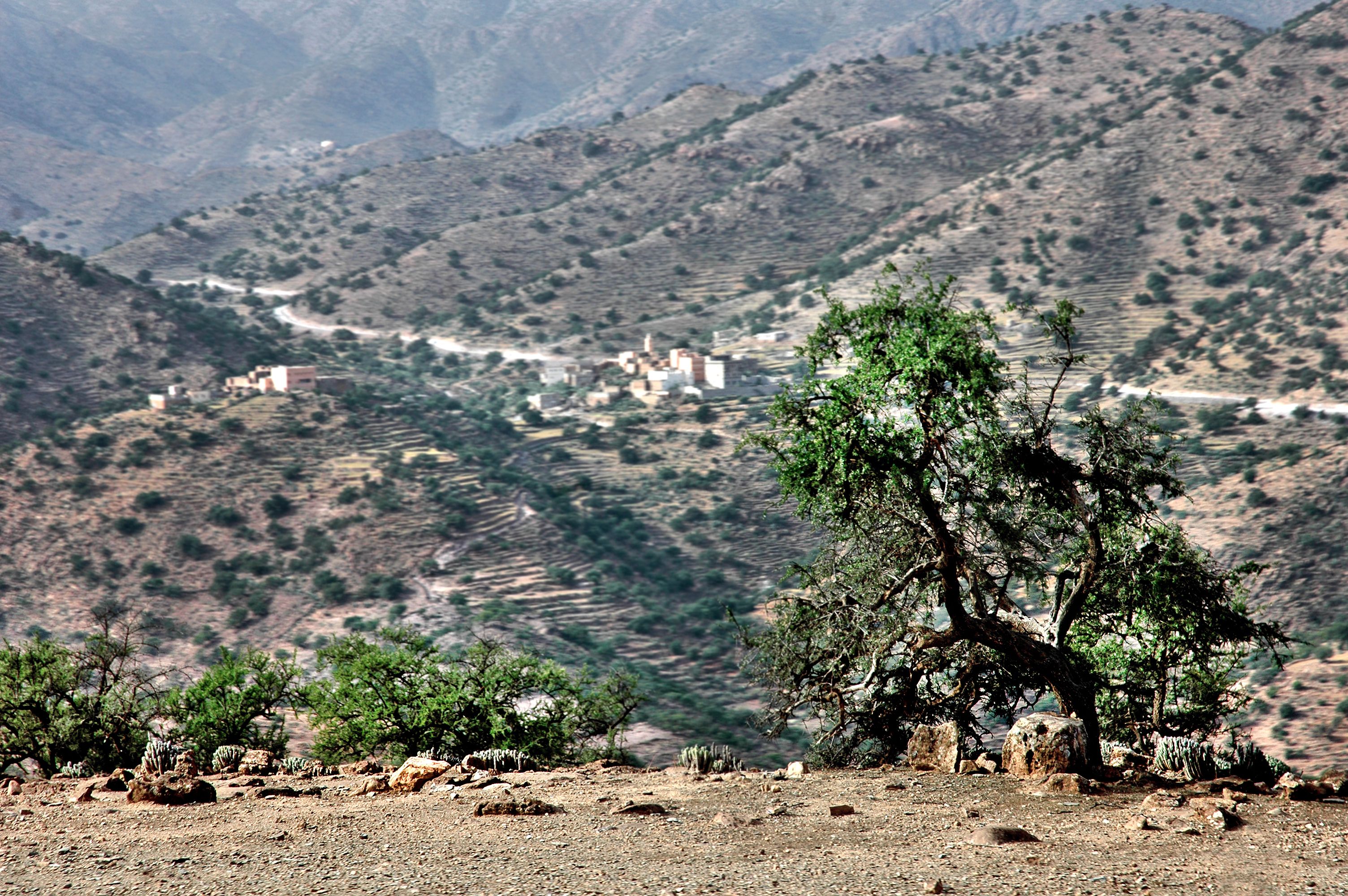 Scenic Landscape of Tafraoute, Morocco · Free Stock Photo