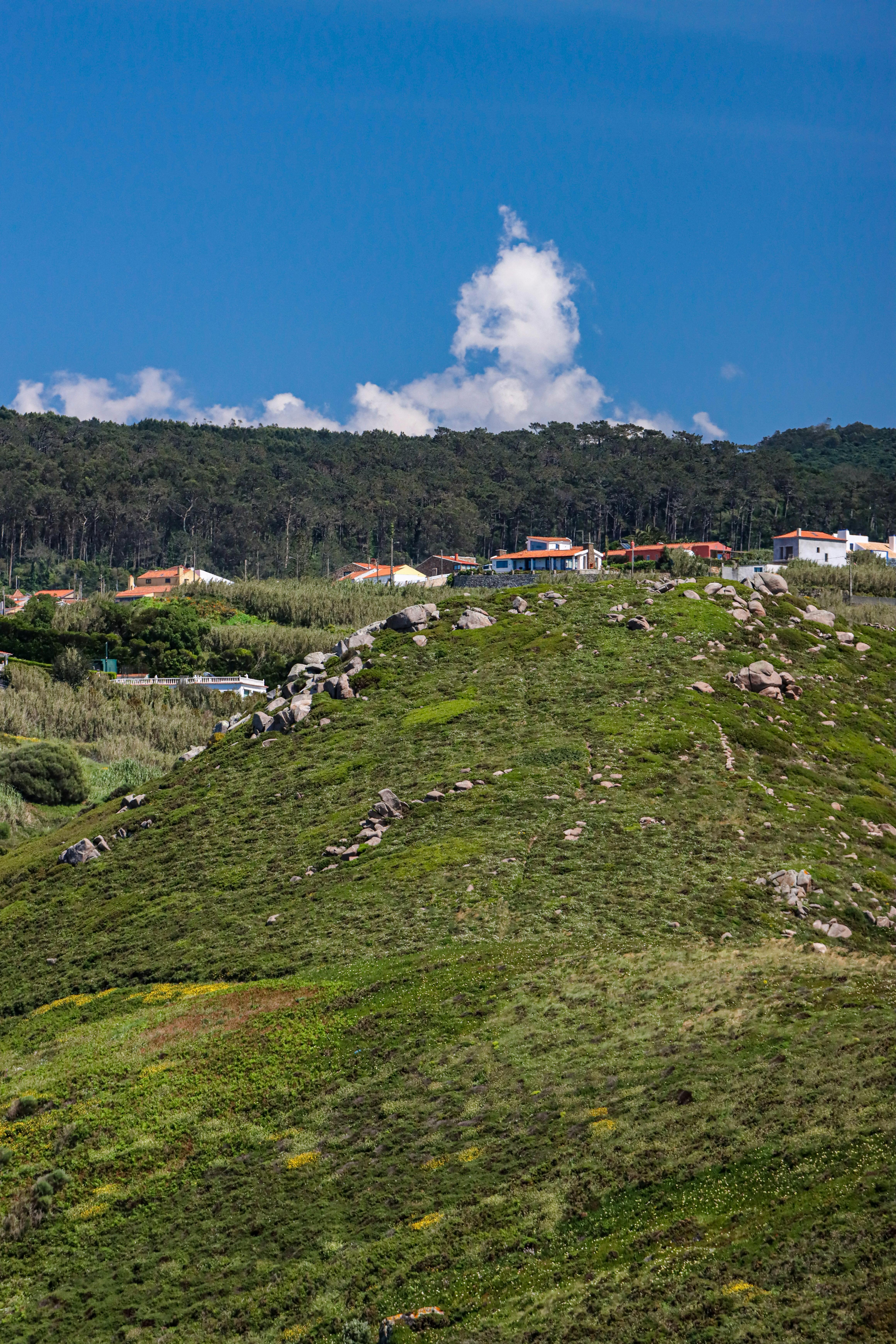Hero's Day Photos, Download The BEST Free Hero's Day Stock Photos & HD ...