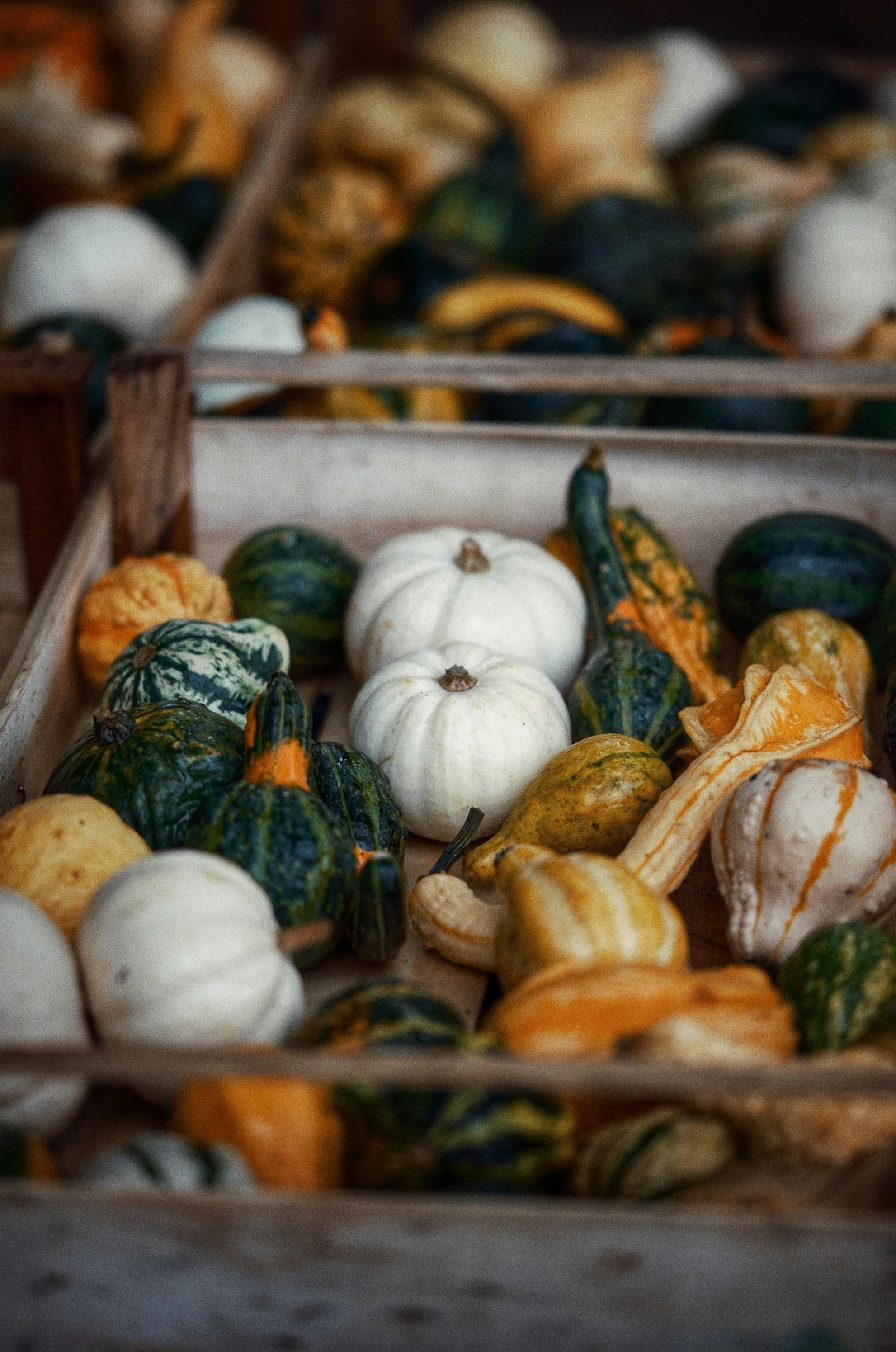 Rustic Wooden Crate with Colorful Autumn Gourds · Free Stock Photo