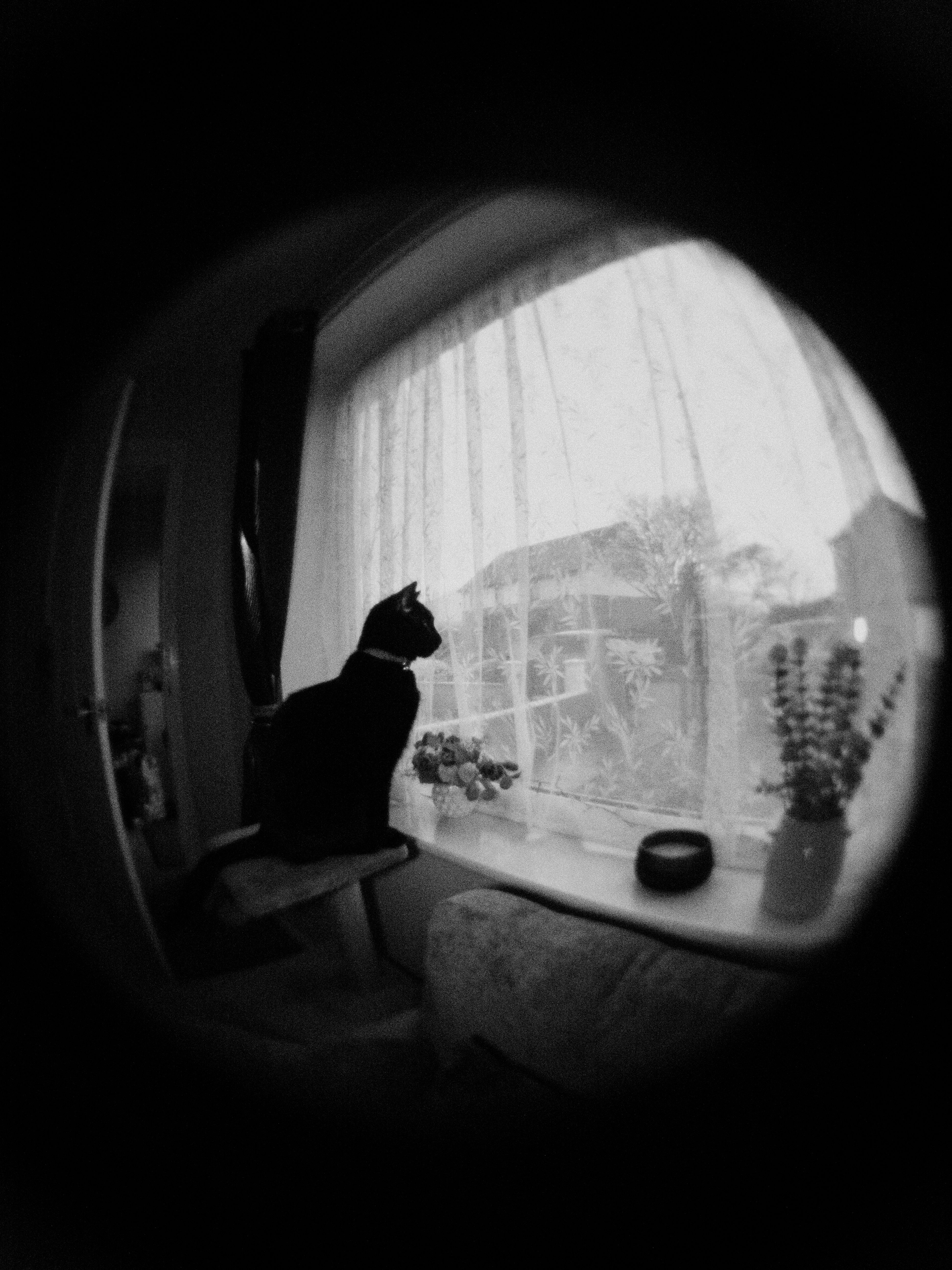 Distortion Vignette Image Photos, Download The BEST Free Distortion ...