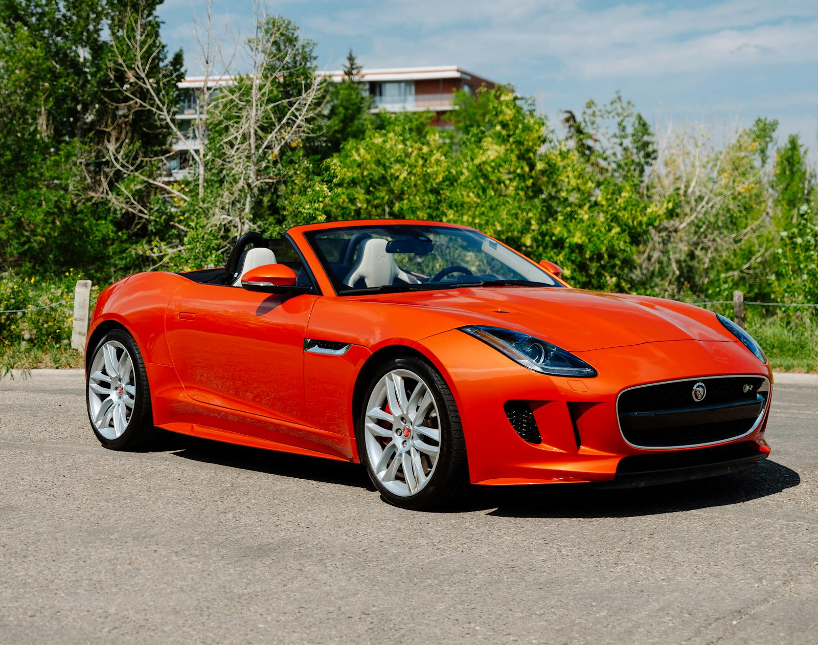 Jaguar Car Photos, Download The BEST Free Jaguar Car Stock Photos & HD ...