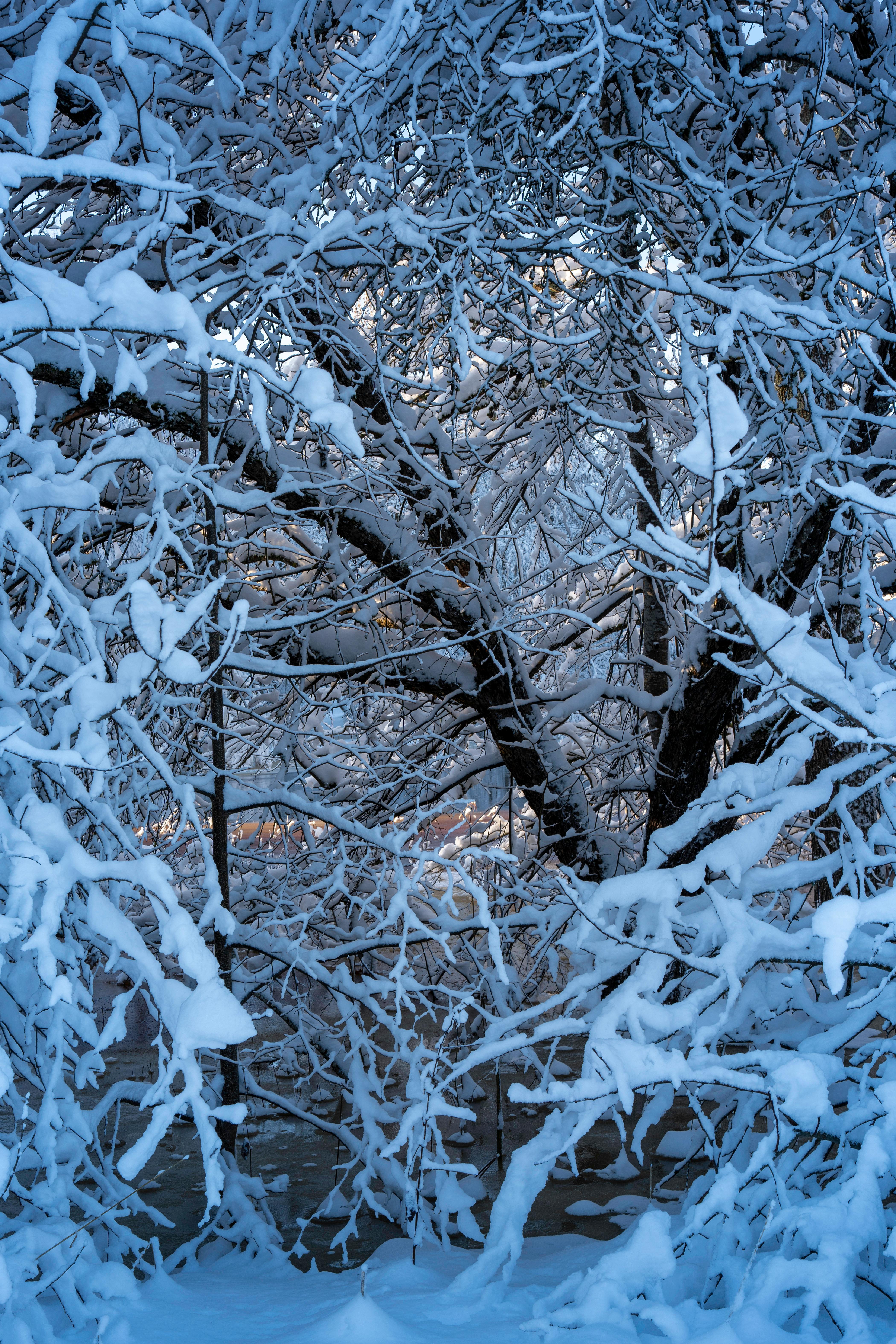 Snow Background Texture Photos, Download The BEST Free Snow Background ...