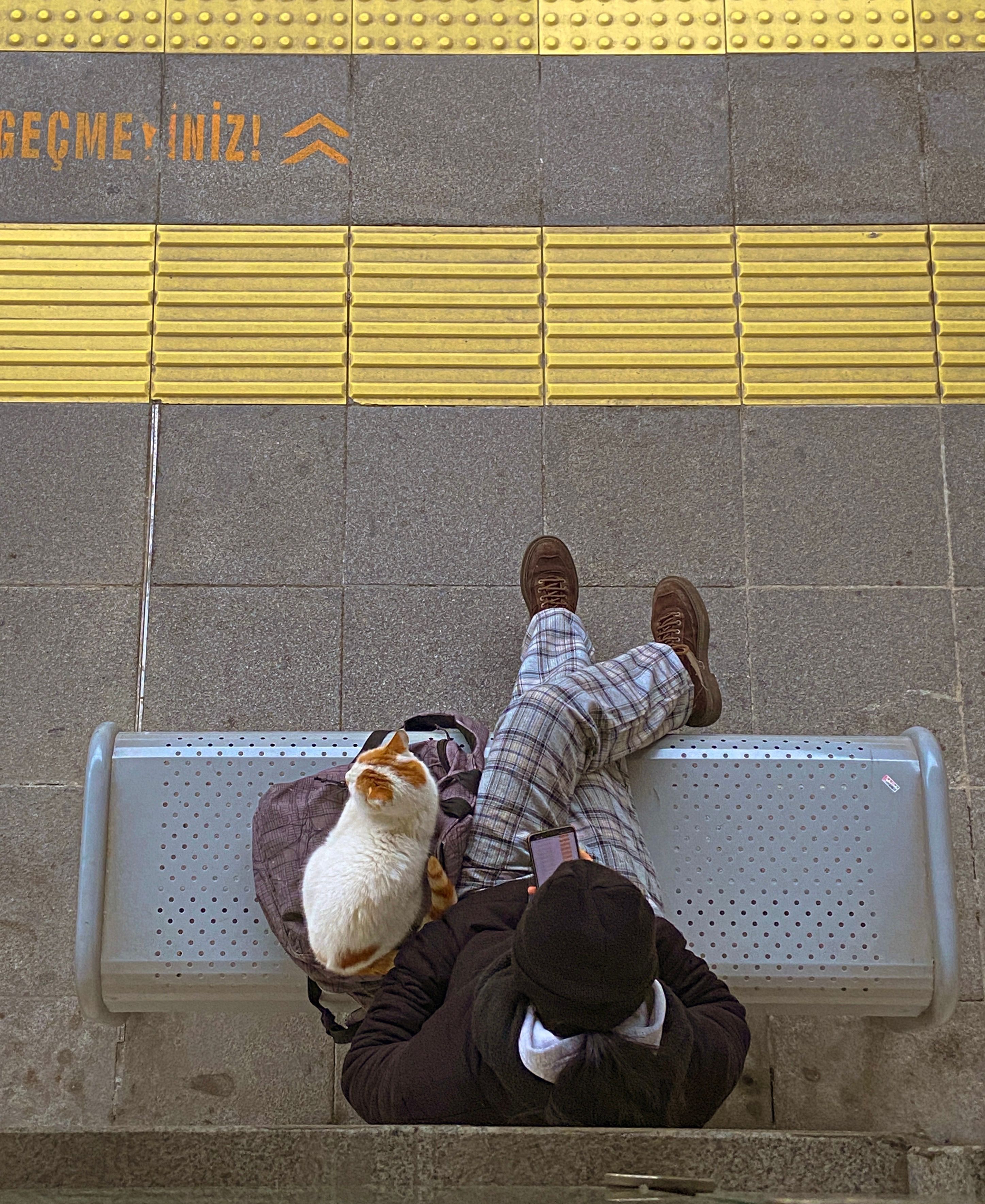 Dice Platform Photos Download The Best Free Dice Platform Stock Photos