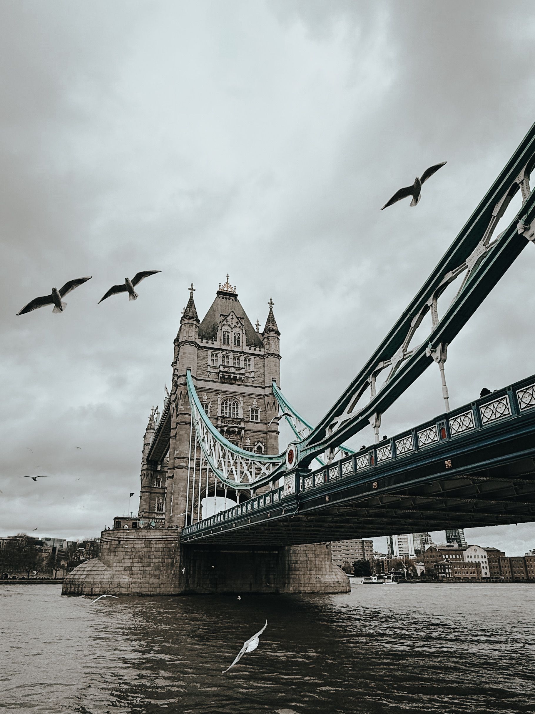 Tower Bridge with Flying Birds in London · Free Stock Photo