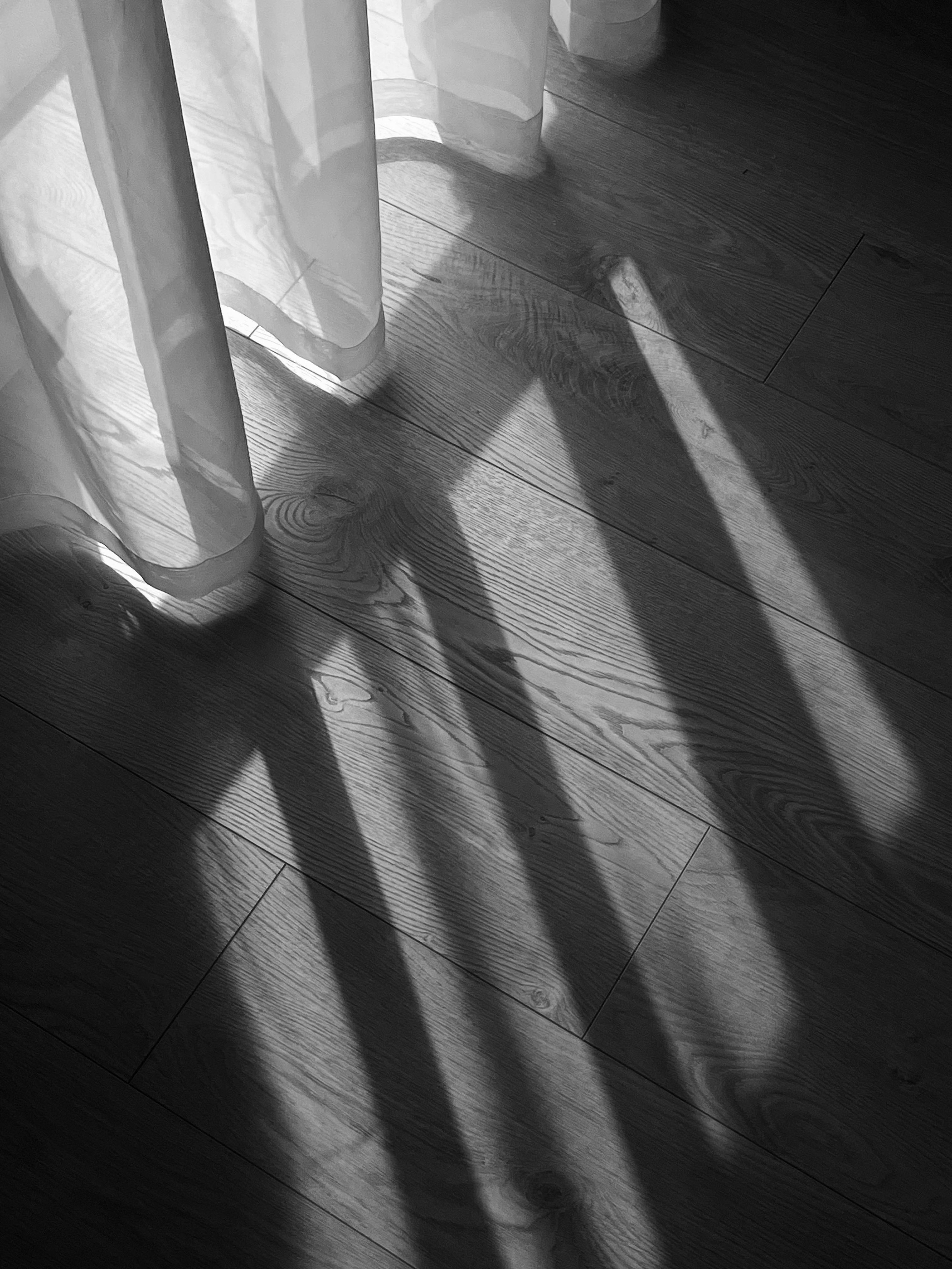 Black and White Shadow Patterns on Wooden Floor · Free Stock Photo
