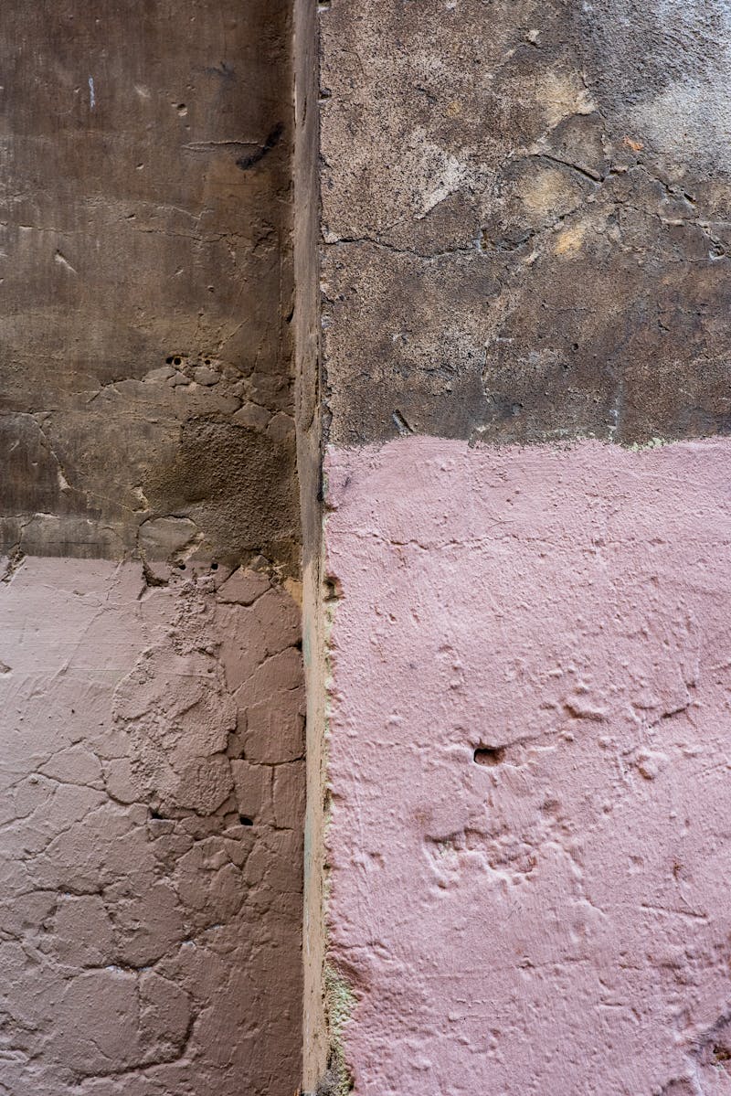 Building Wall Photos, Download The BEST Free Building Wall Stock Photos ...