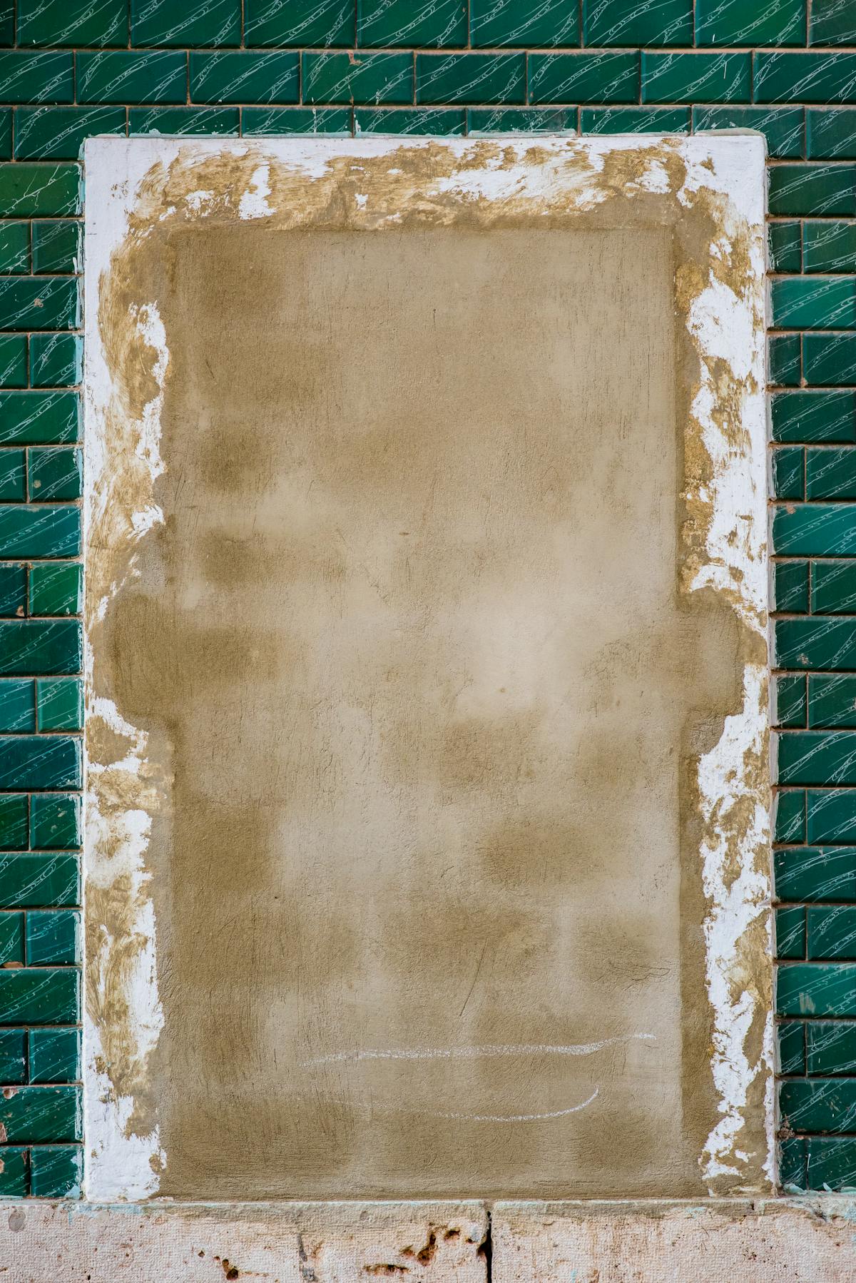 Solid Green Zoom Background Photos, Download The BEST Free Solid Green ...