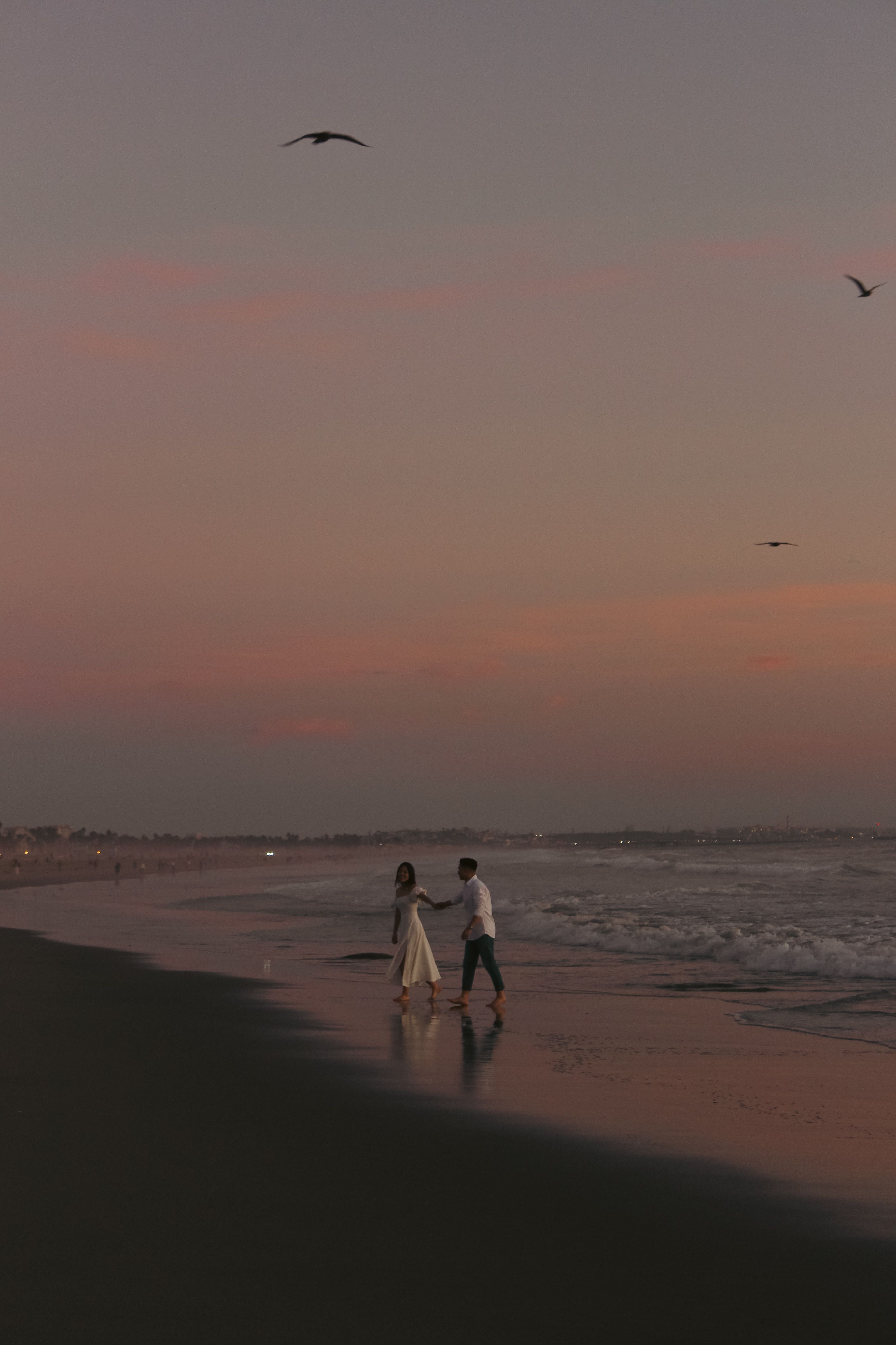Evening Beach Stroll Photos, Download The BEST Free Evening Beach ...