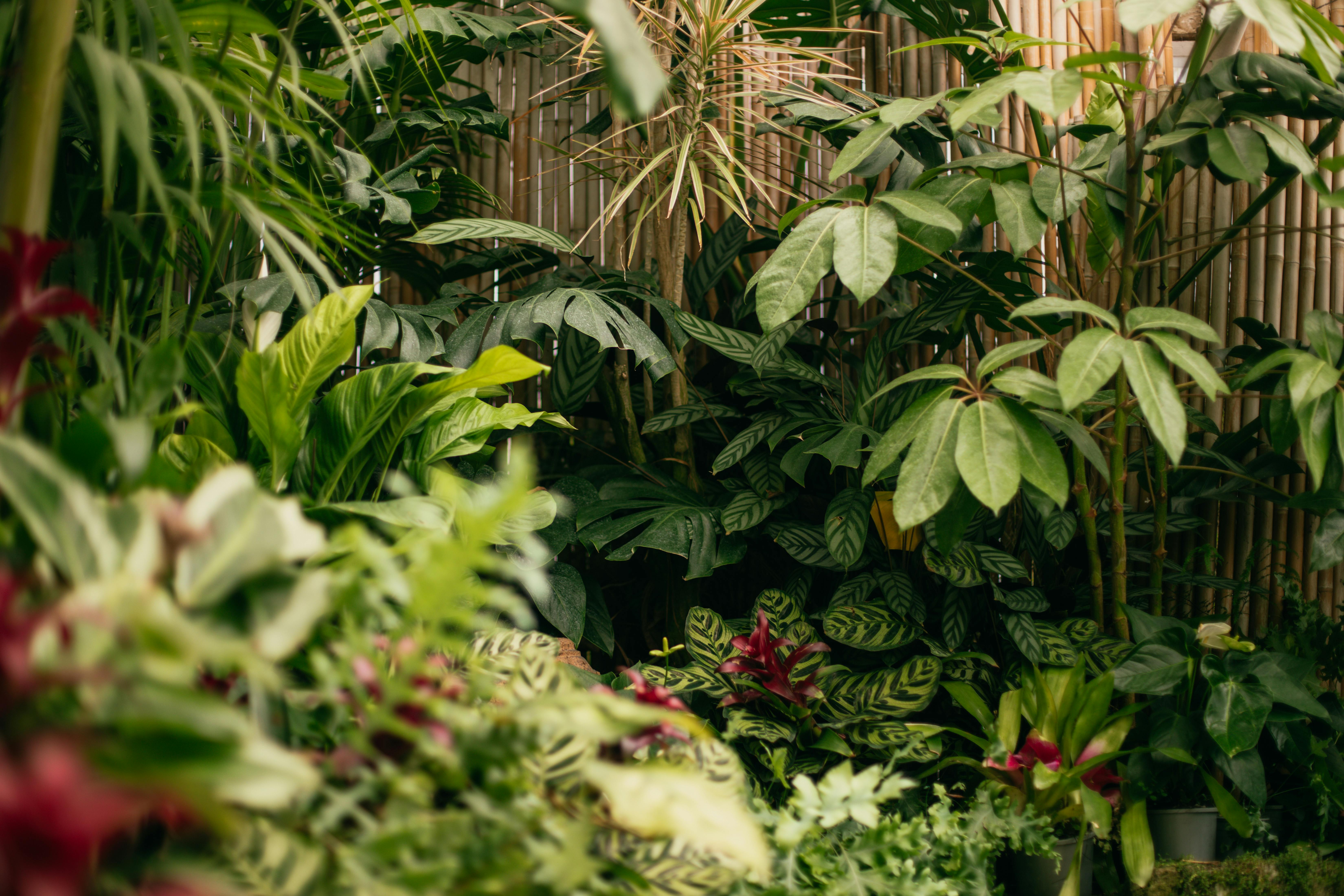 Rapture Photos, Download The BEST Free Rapture Stock Photos & HD Images