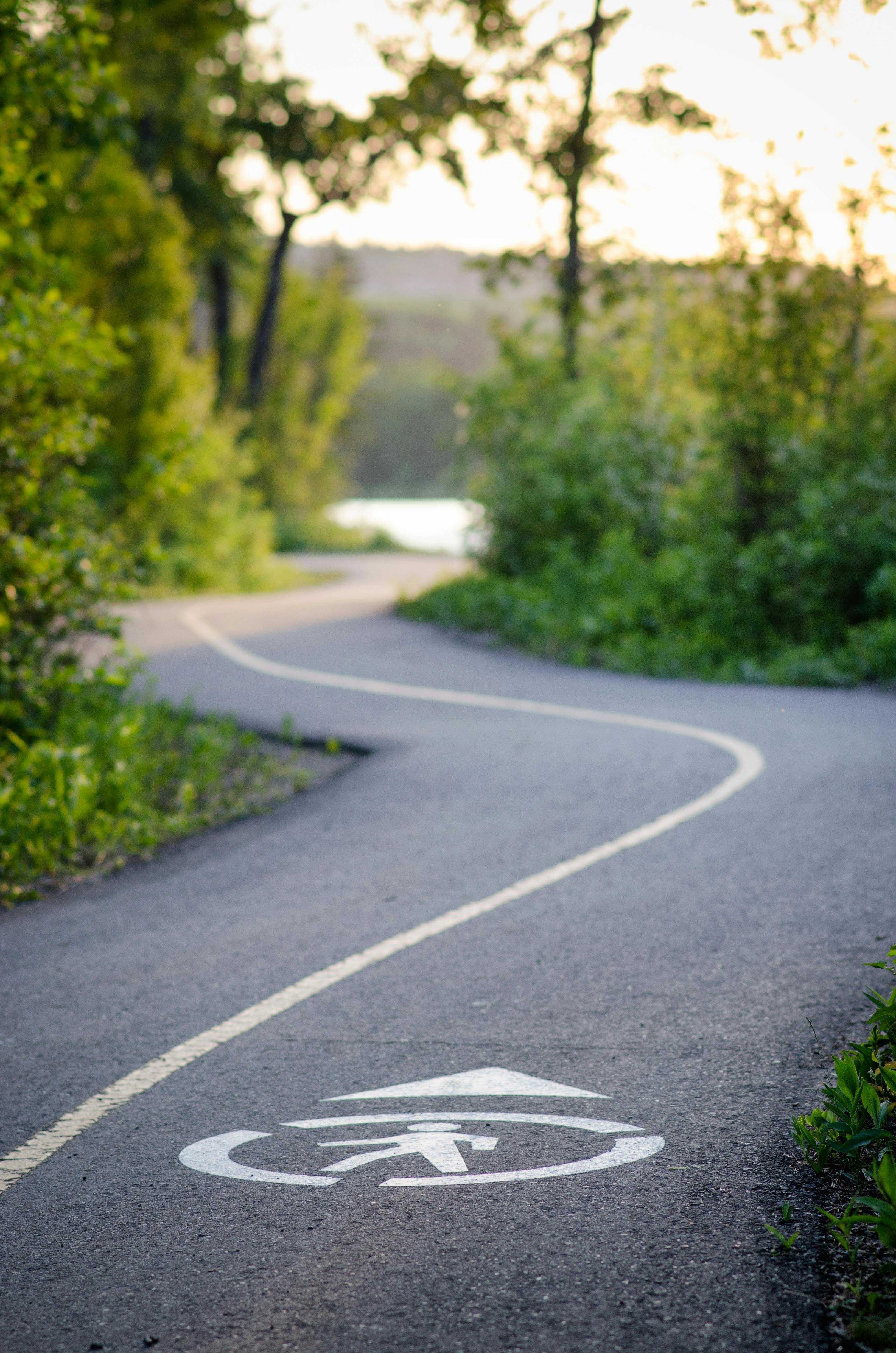 Serene Pathway in Calgary Forest Park · Free Stock Photo