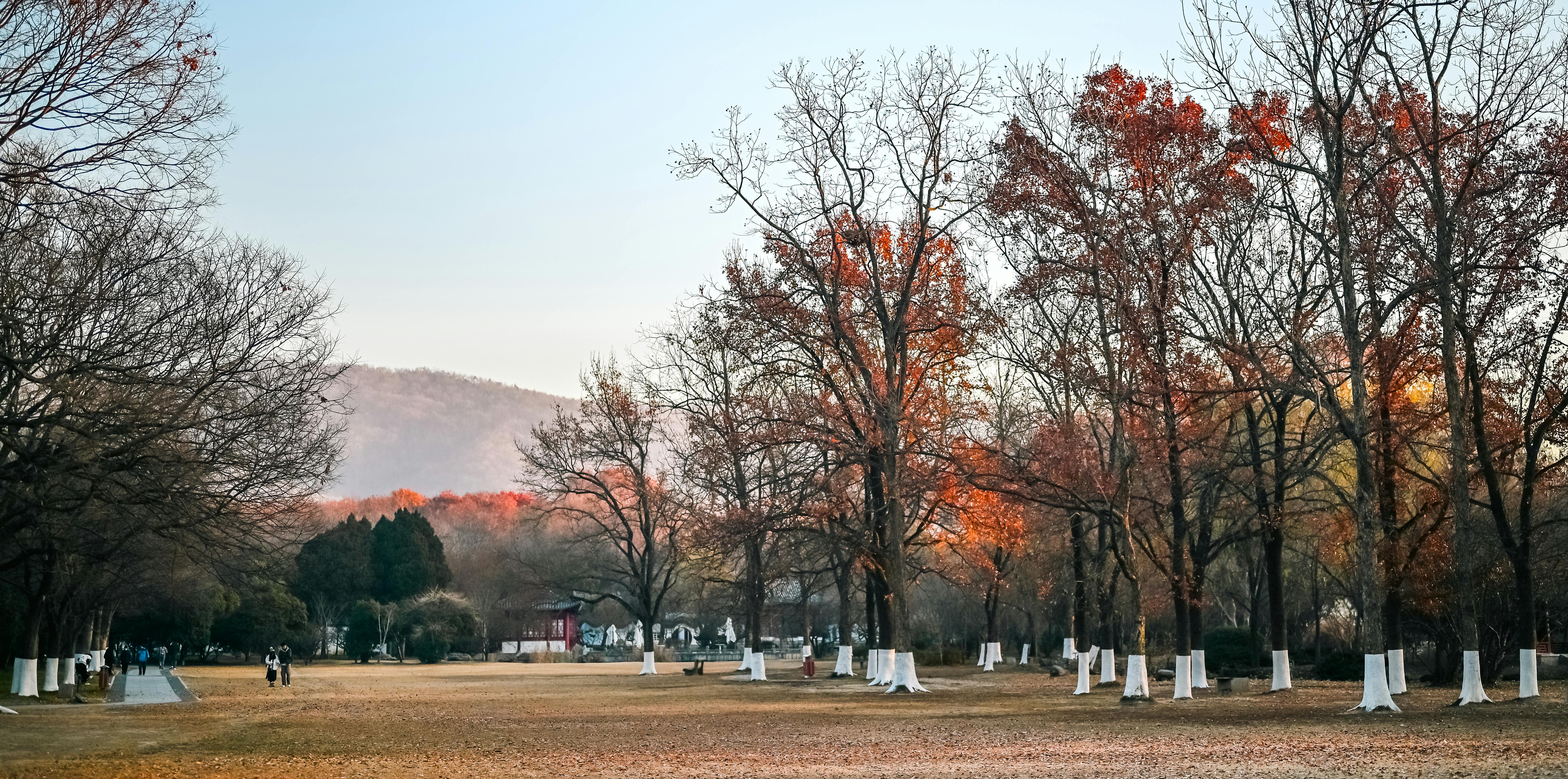Tranquil Autumn Scene in Nanjing Park · Free Stock Photo