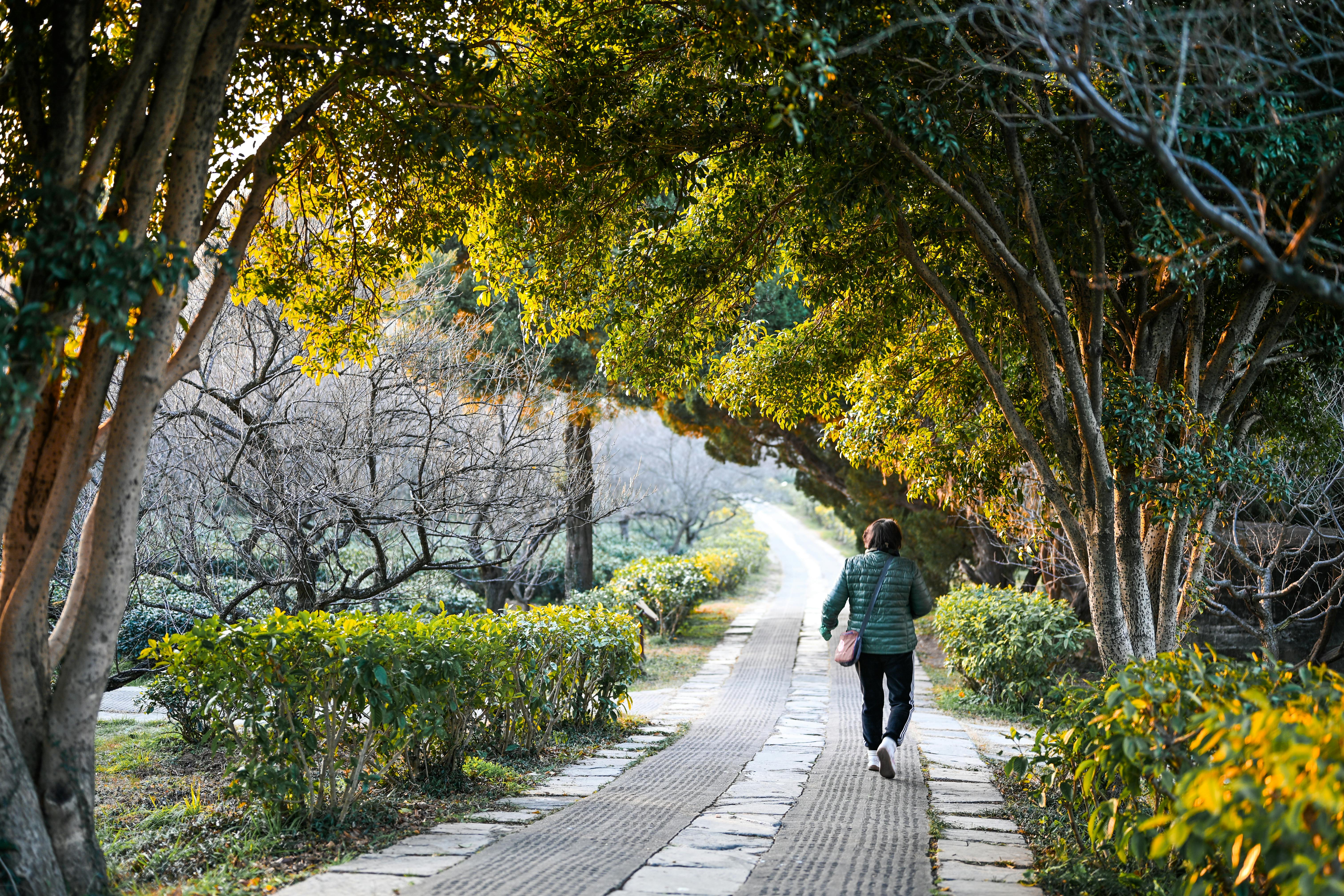 Nanjing Park Photos, Download The BEST Free Nanjing Park Stock Photos ...