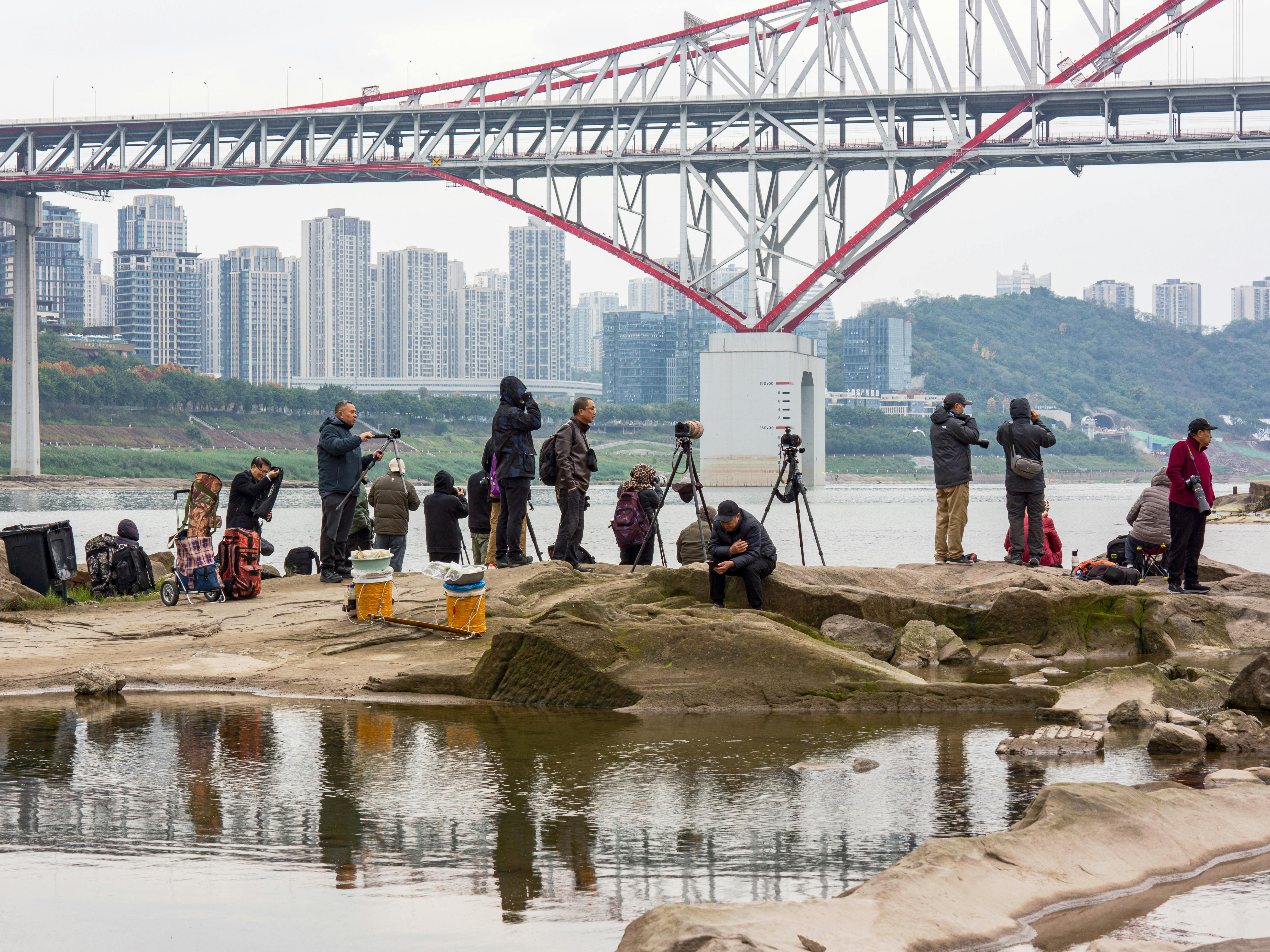 Photographers Gather by Riverside with Urban Backdrop · Free Stock Photo