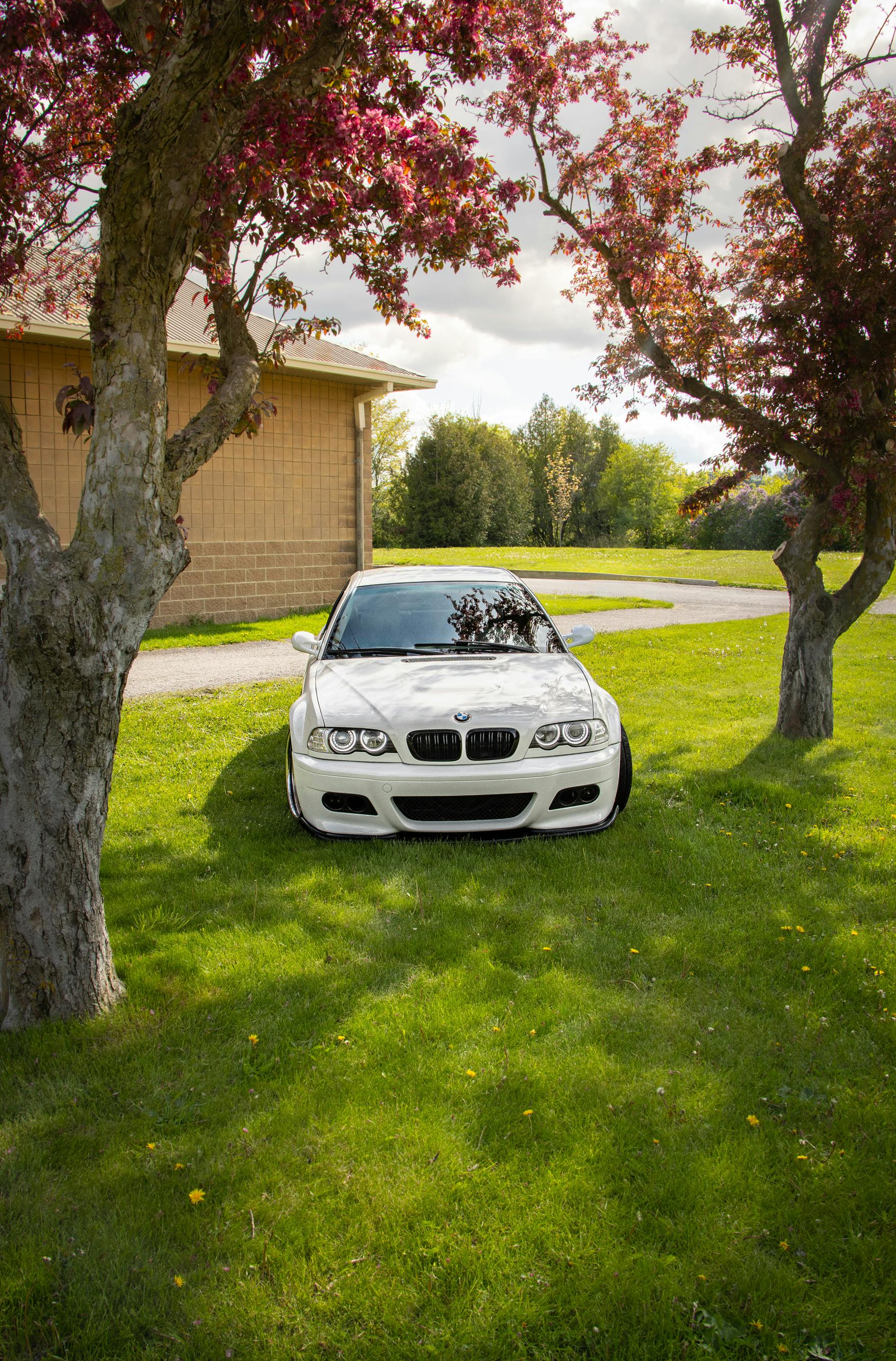Bmw Car With Cherry Blossoms Photos, Download The BEST Free Bmw Car ...