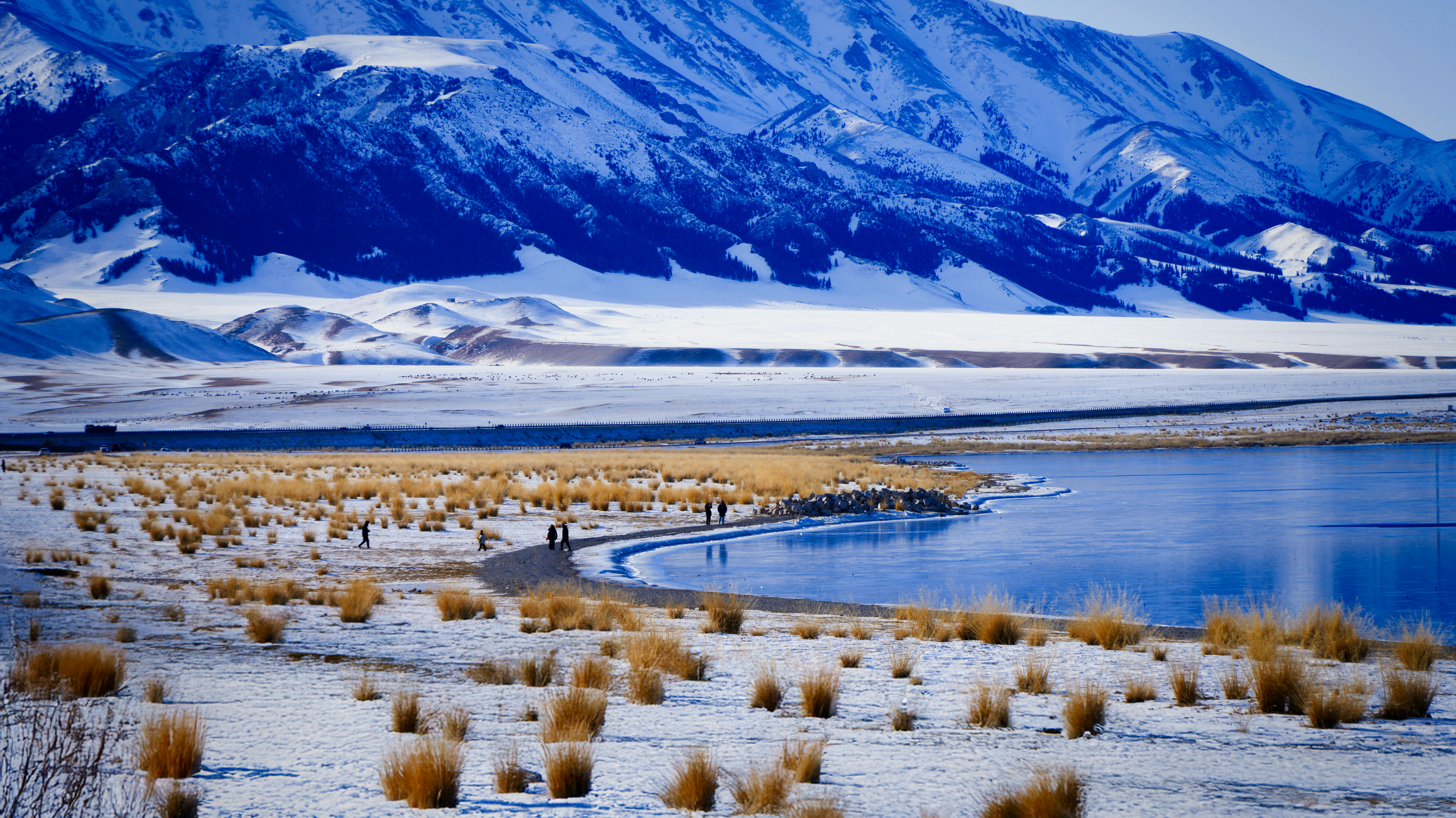 Frozen Ecosystem Photos, Download The BEST Free Frozen Ecosystem Stock ...