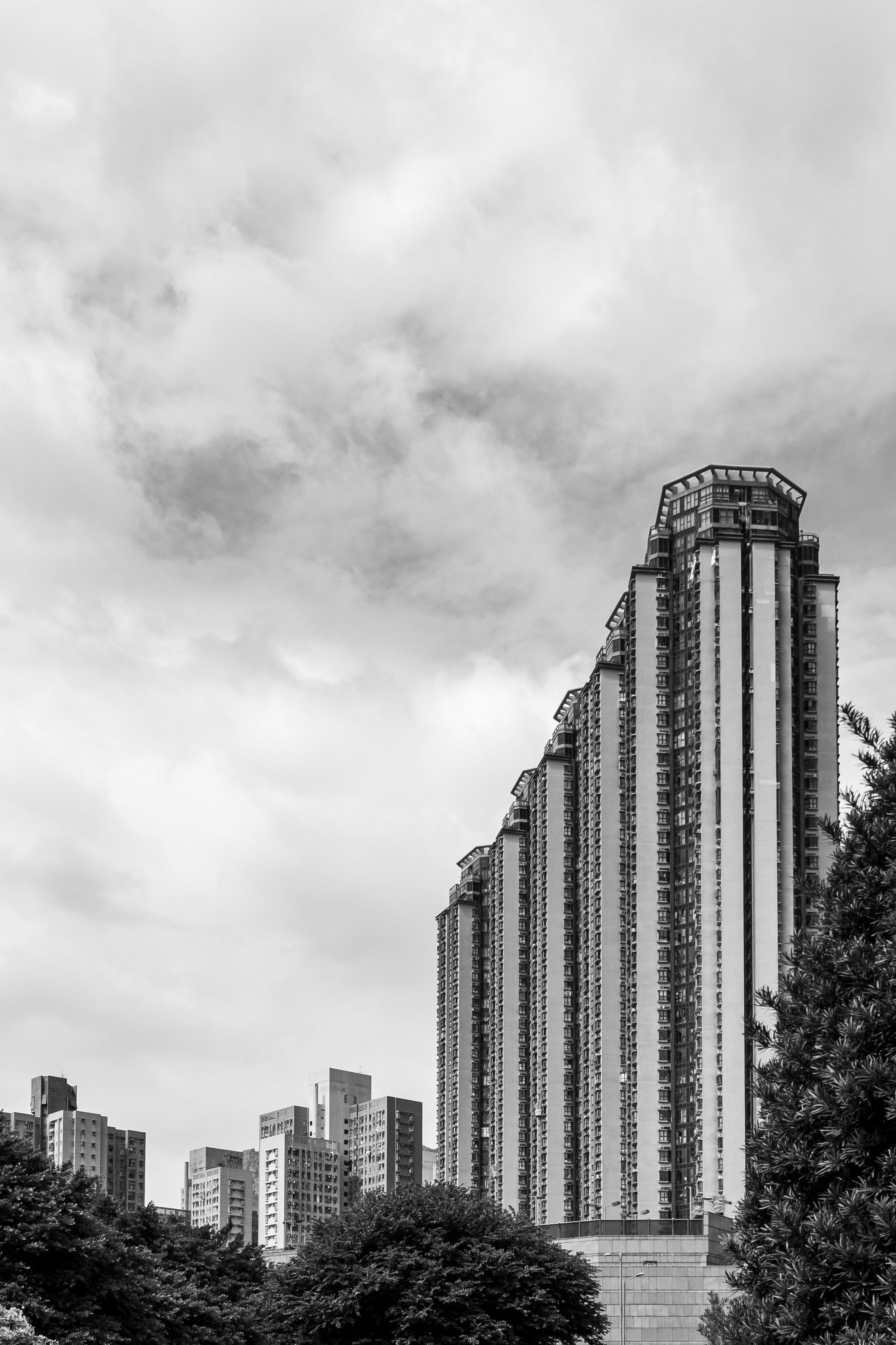 Monochrome Urban Skyline with High-Rise Buildings · Free Stock Photo