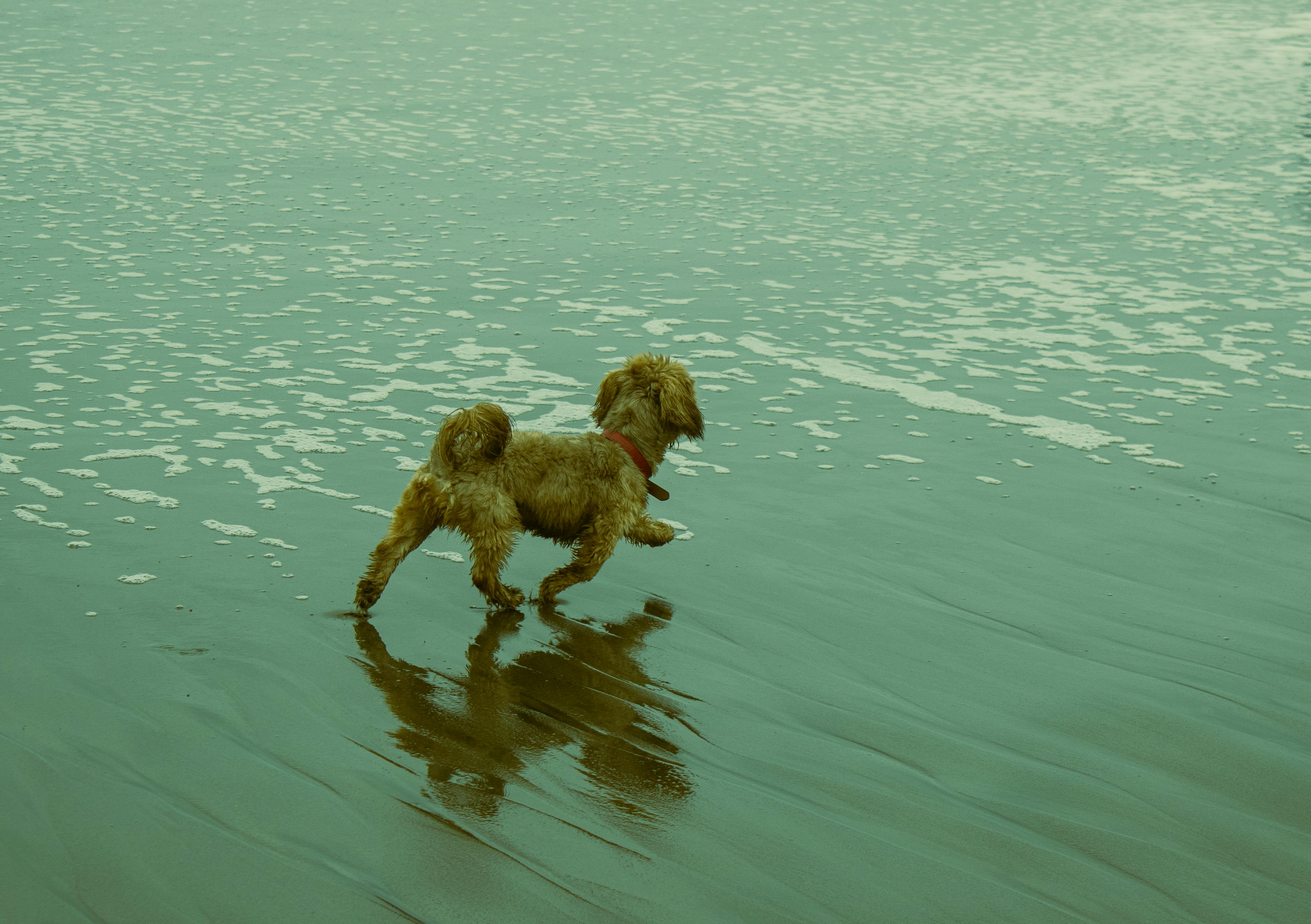 Soldier Walk In Water Photos, Download The BEST Free Soldier Walk In ...