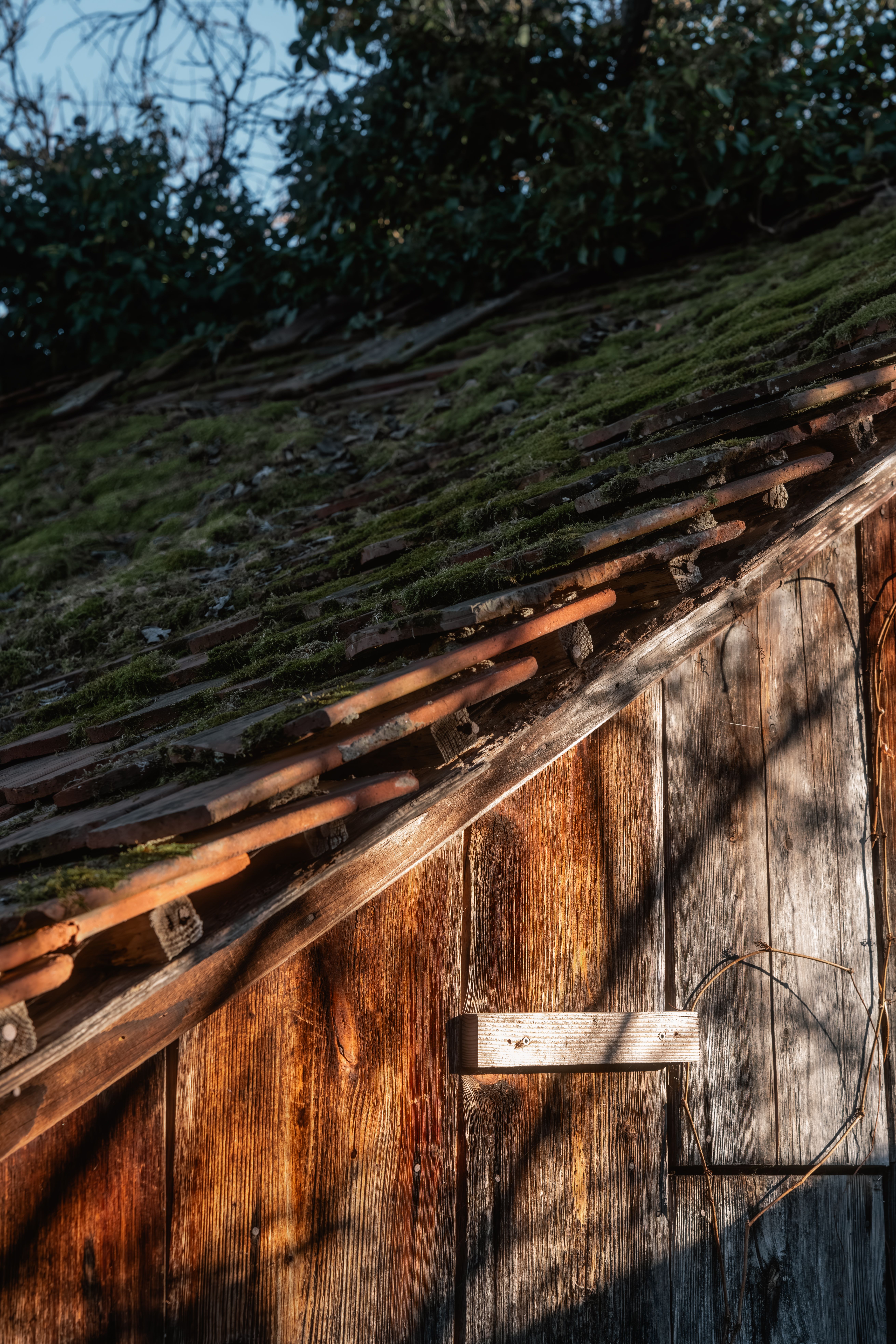 Rustic Cottage Roof with Moss and Wood Detail · Free Stock Photo