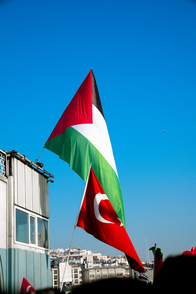 Palestine Photos, Download The BEST Free Palestine Stock Photos & HD Images