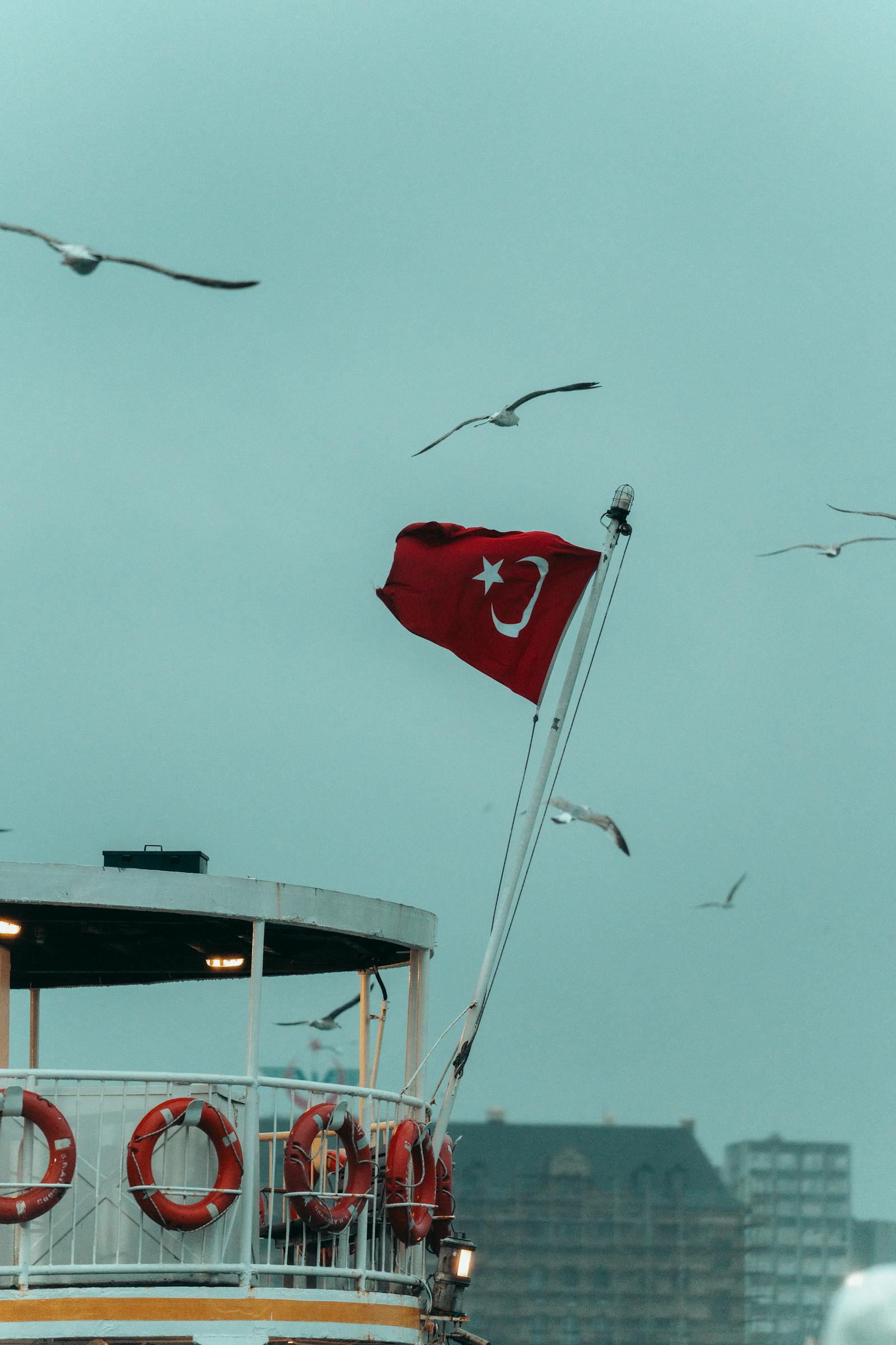 Trans Flag Photos, Download The BEST Free Trans Flag Stock Photos & HD ...