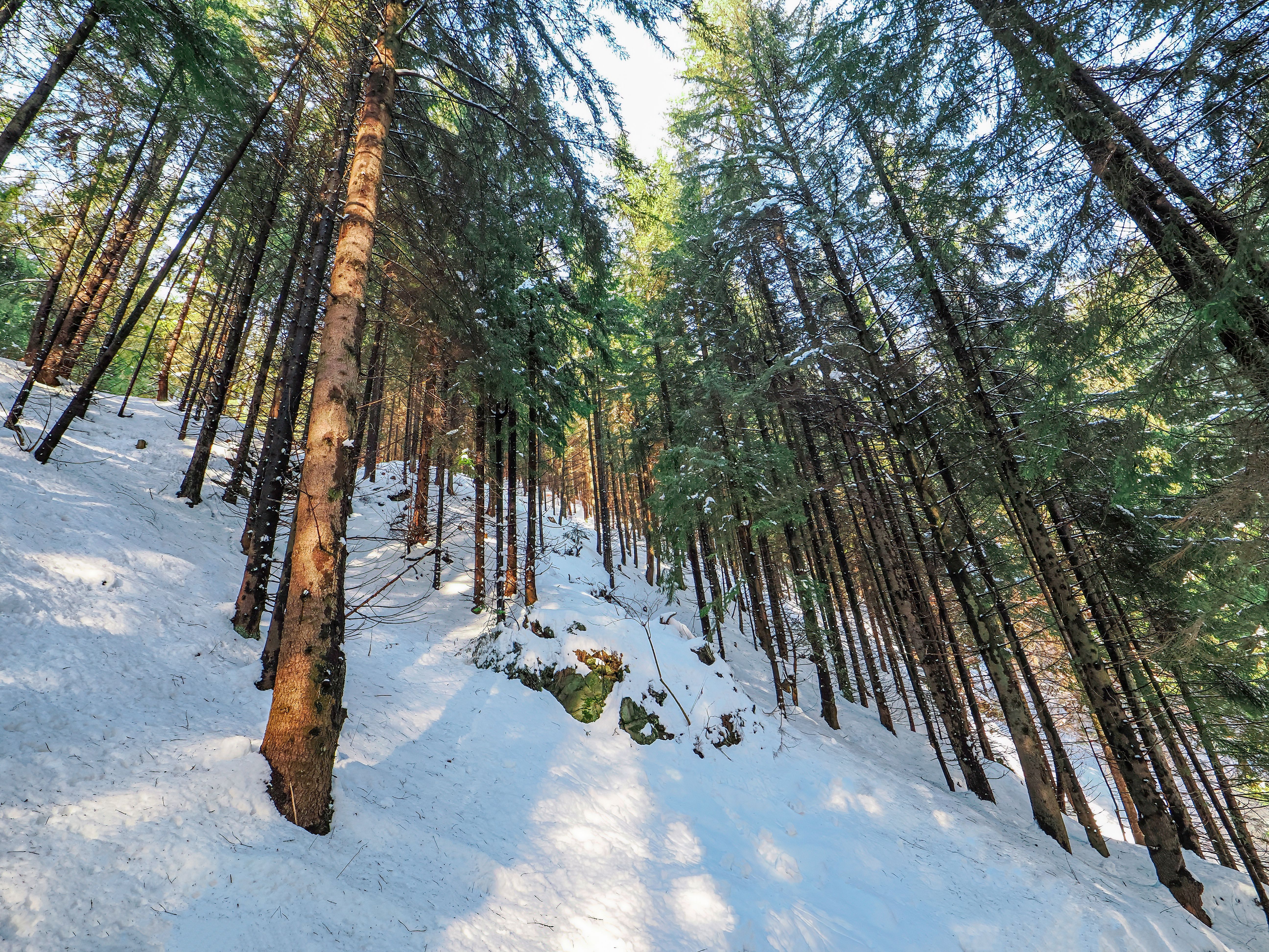 Wandering Photos, Download The BEST Free Wandering Stock Photos & HD Images