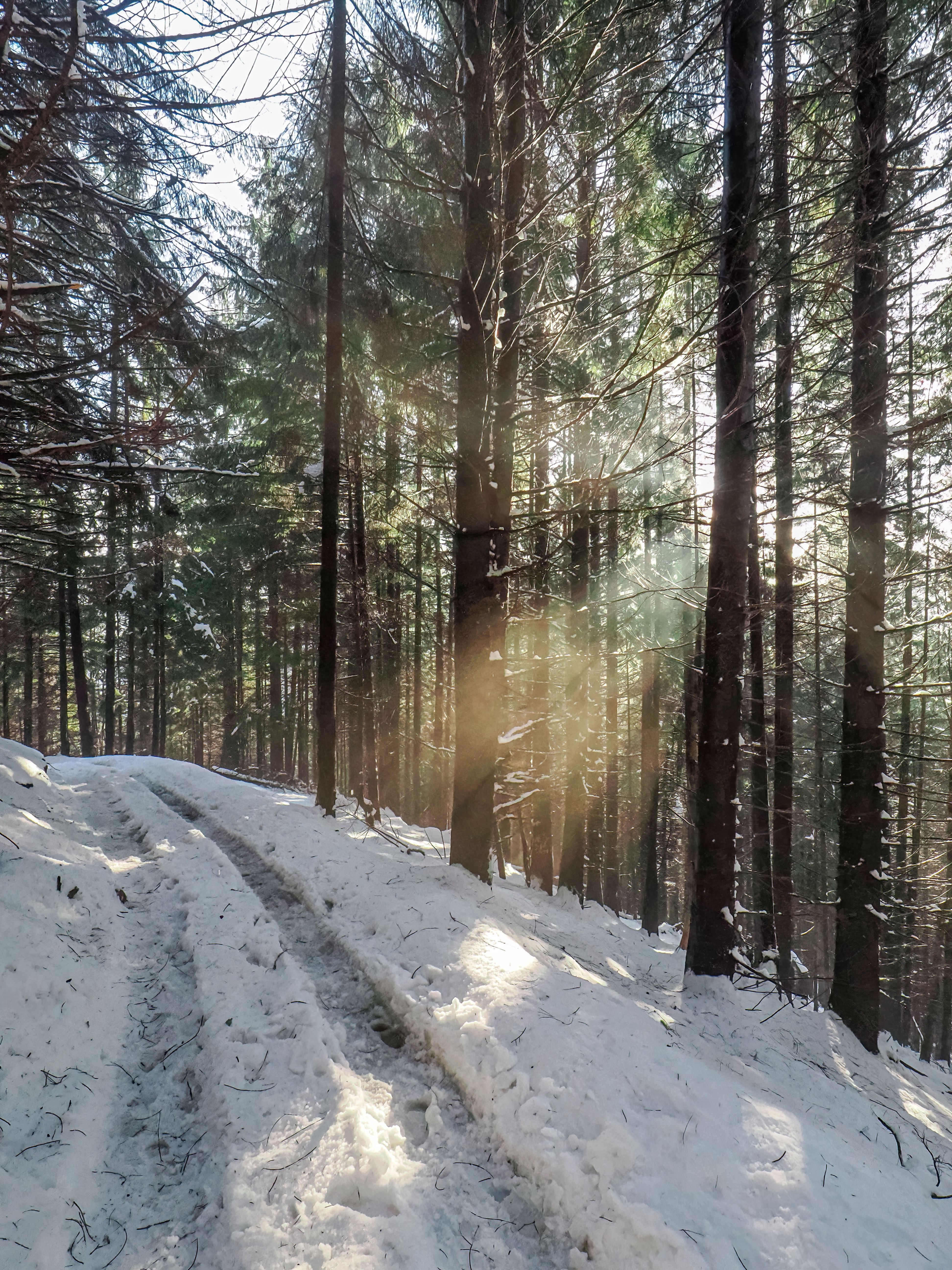 Wandering Photos, Download The BEST Free Wandering Stock Photos & HD Images