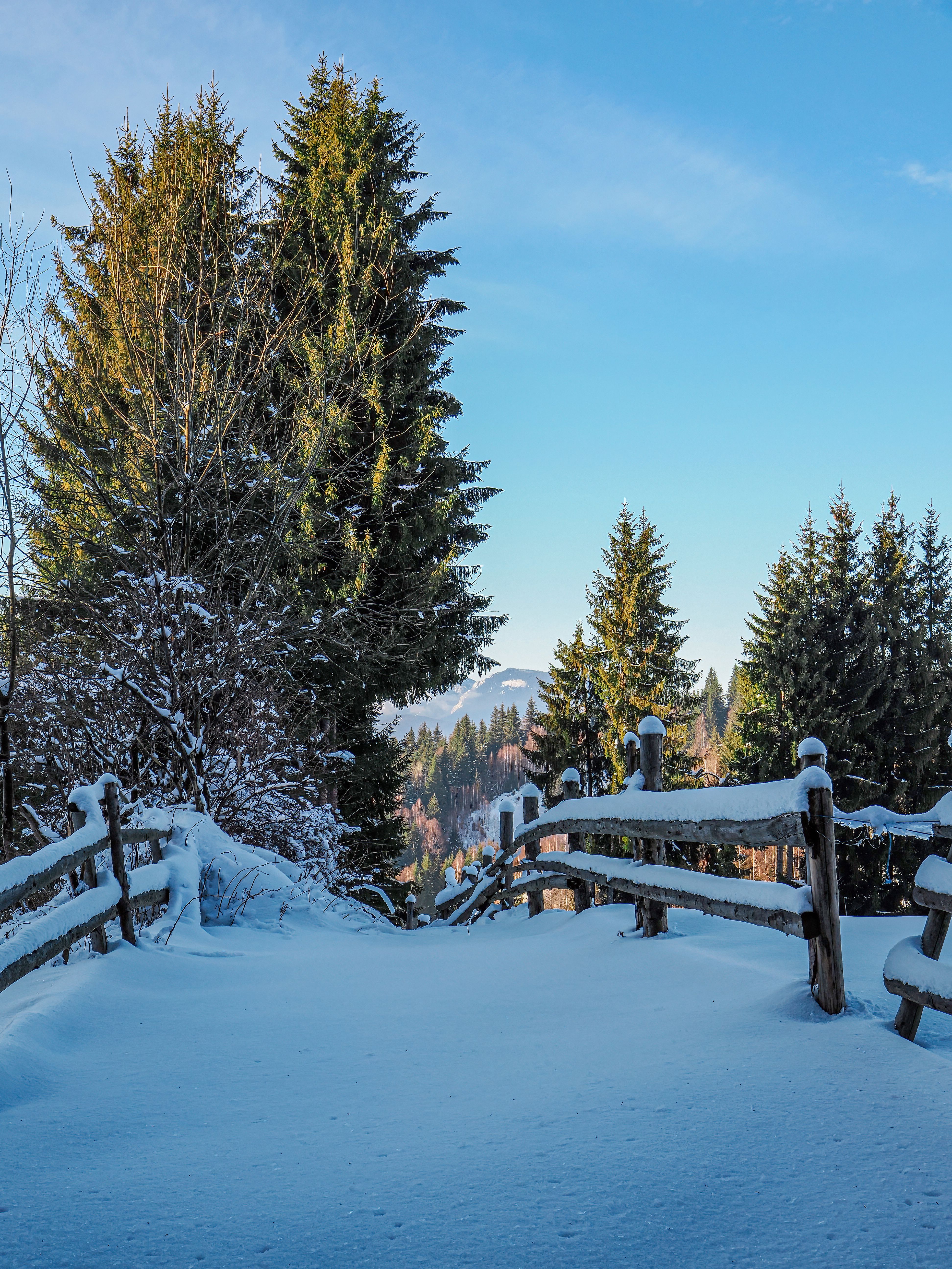 Wandering Photos, Download The BEST Free Wandering Stock Photos & HD Images