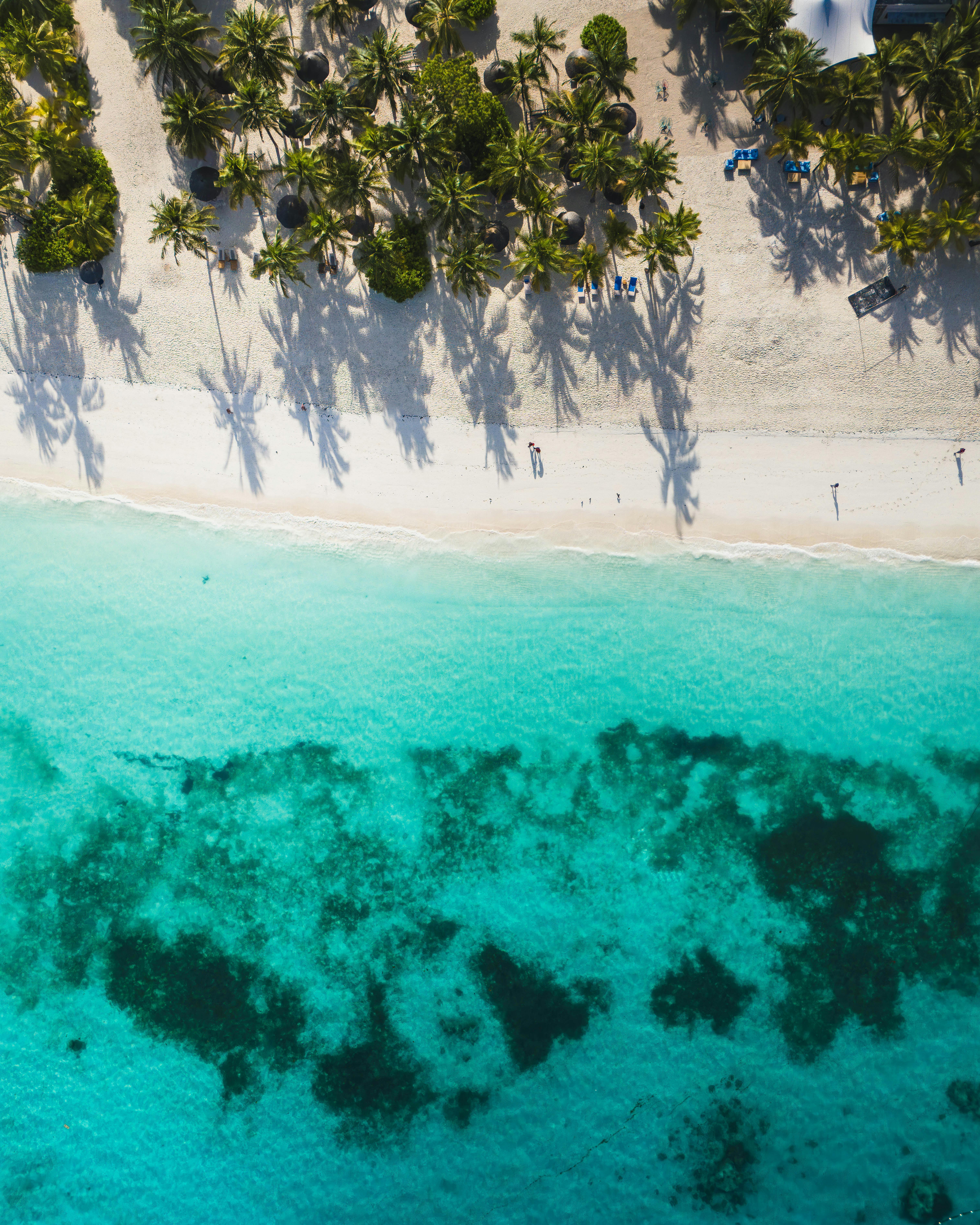 Aerial View of Tropical Beach in Zanzibar, Tanzania · Free Stock Photo
