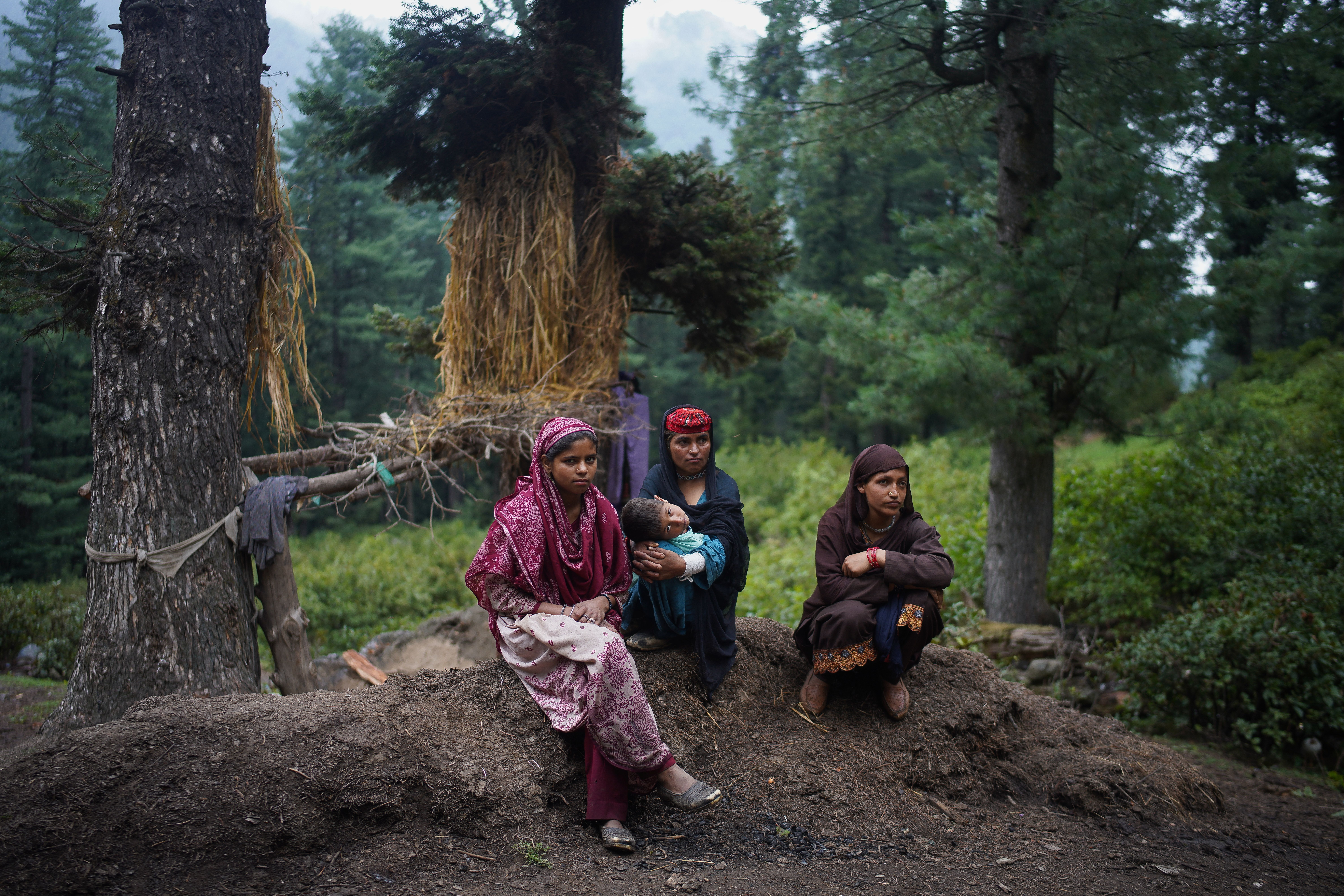 Women and Child in Tranquil Forest of Pahalgam · Free Stock Photo